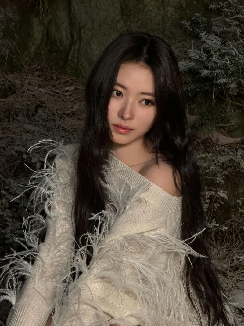 Meovv Wallpapers - Wallpaper Cave