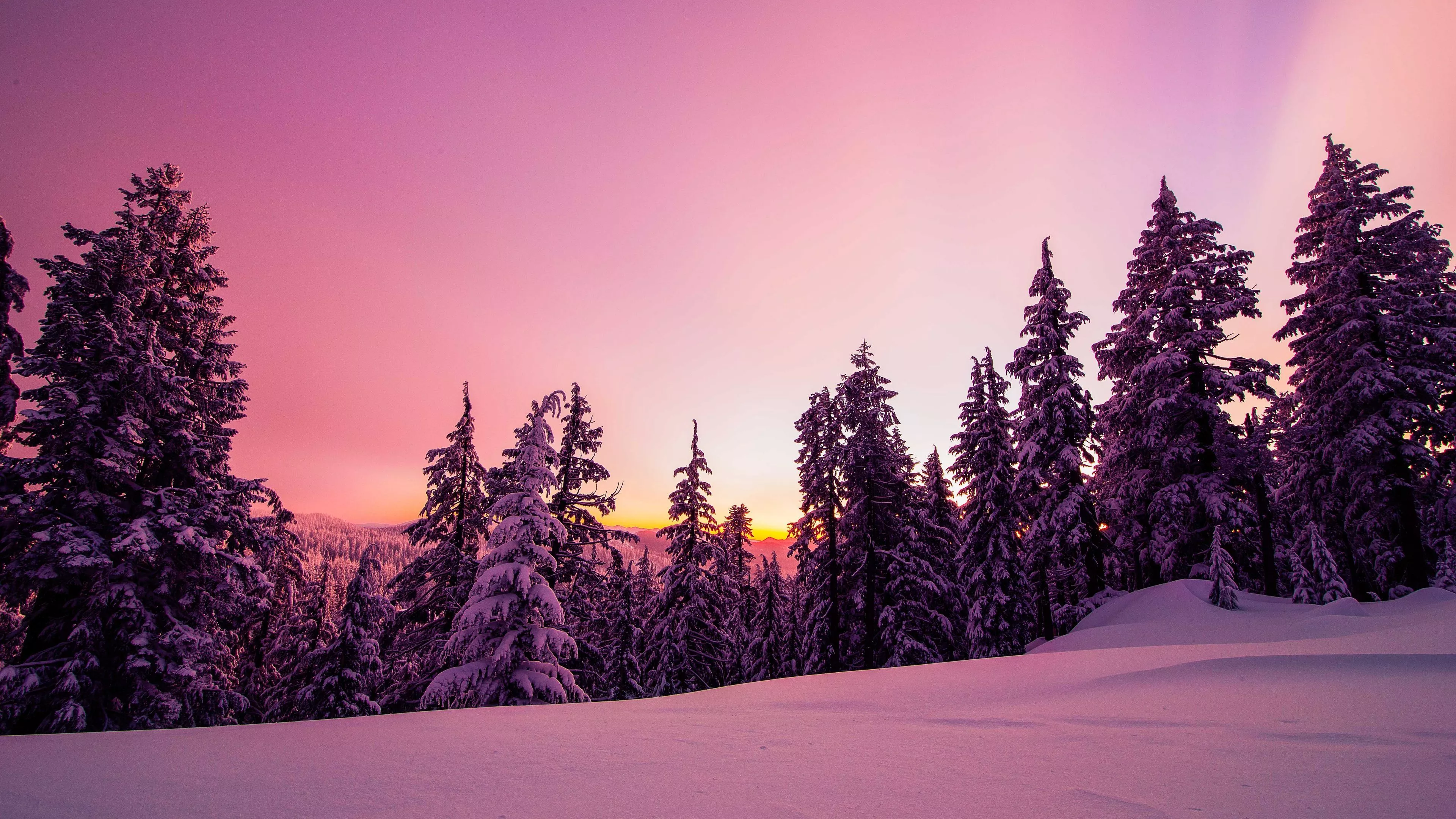 Winter Pink 4k Desktop Wallpapers - Wallpaper Cave