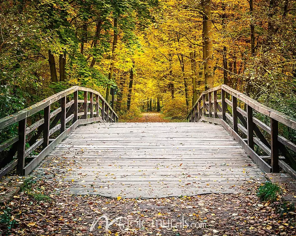 Autumn Forest Bridge Wallpapers - Wallpaper Cave