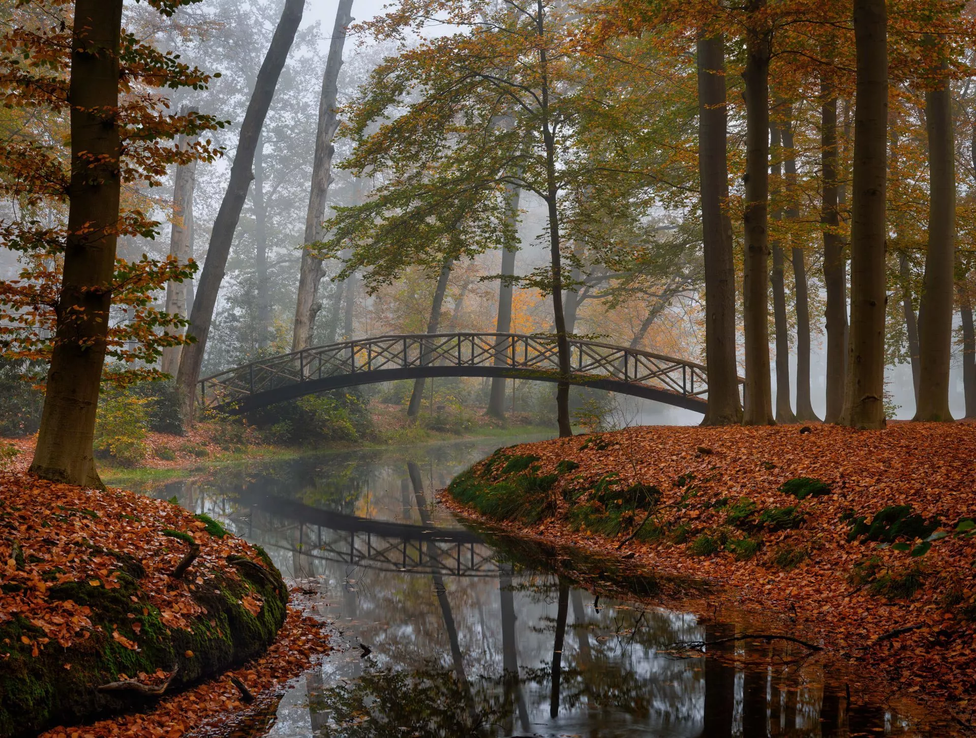 Autumn Forest Bridge Wallpapers - Wallpaper Cave