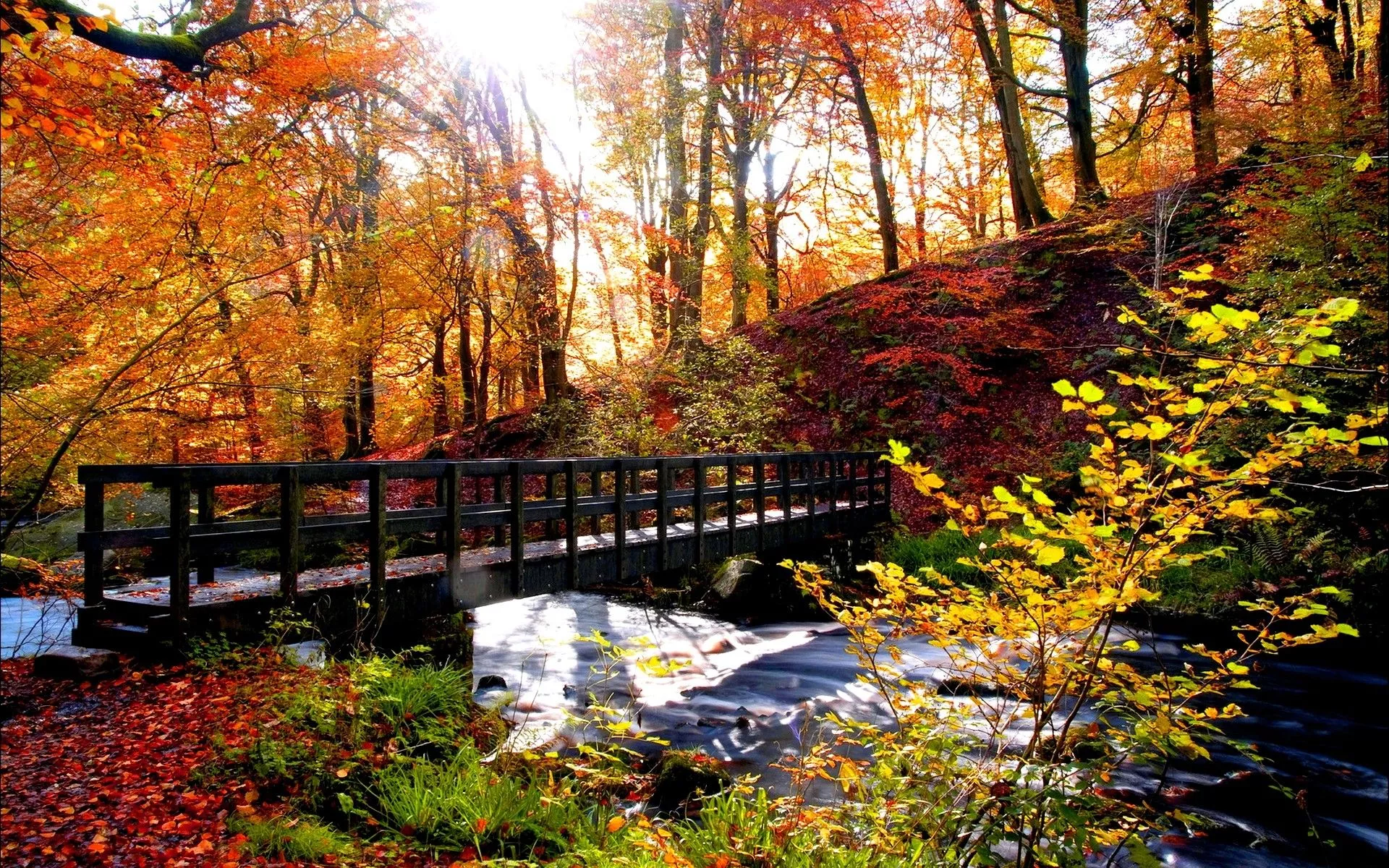Autumn Forest Bridge Wallpapers - Wallpaper Cave