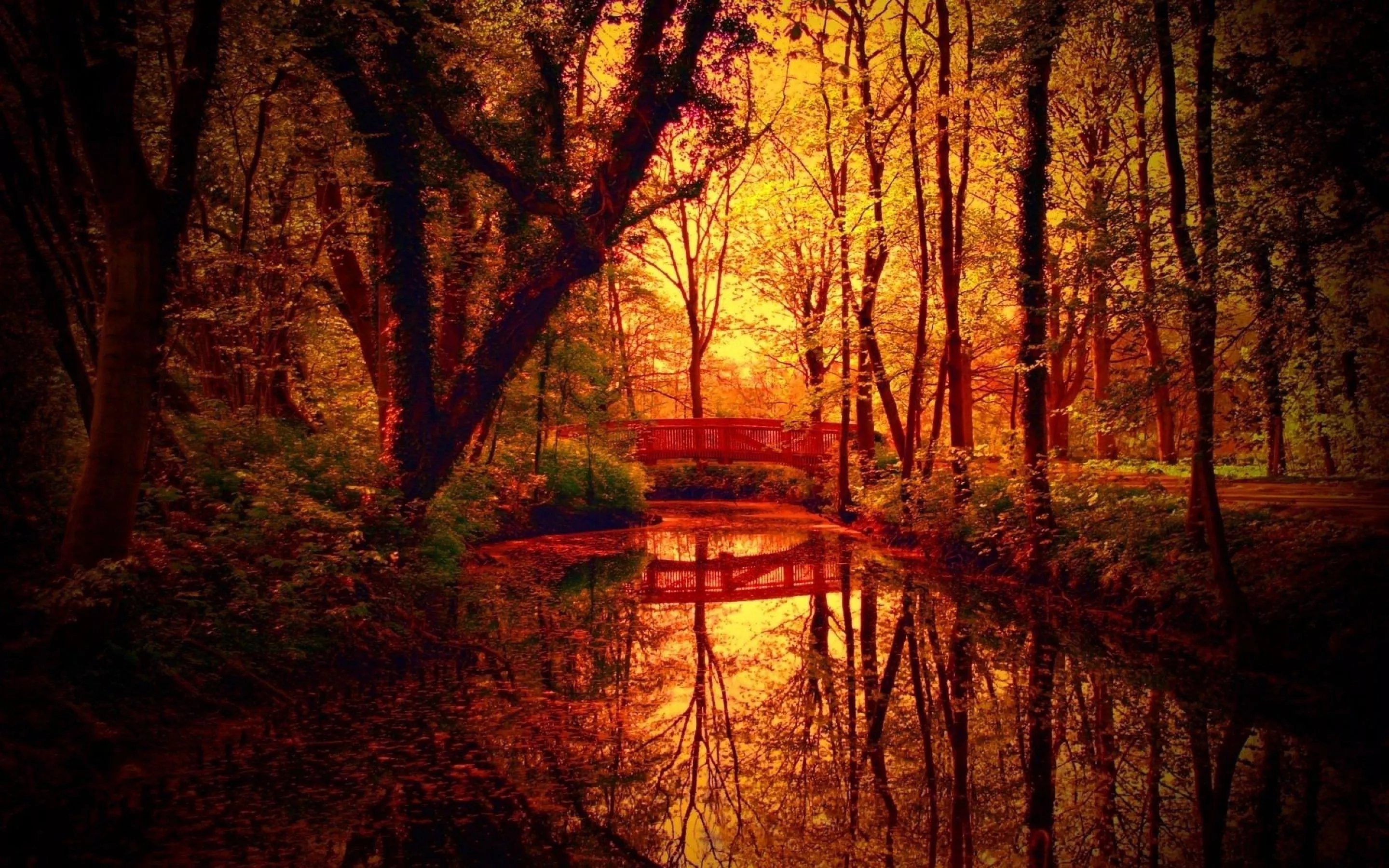 Autumn Forest Bridge Wallpapers - Wallpaper Cave