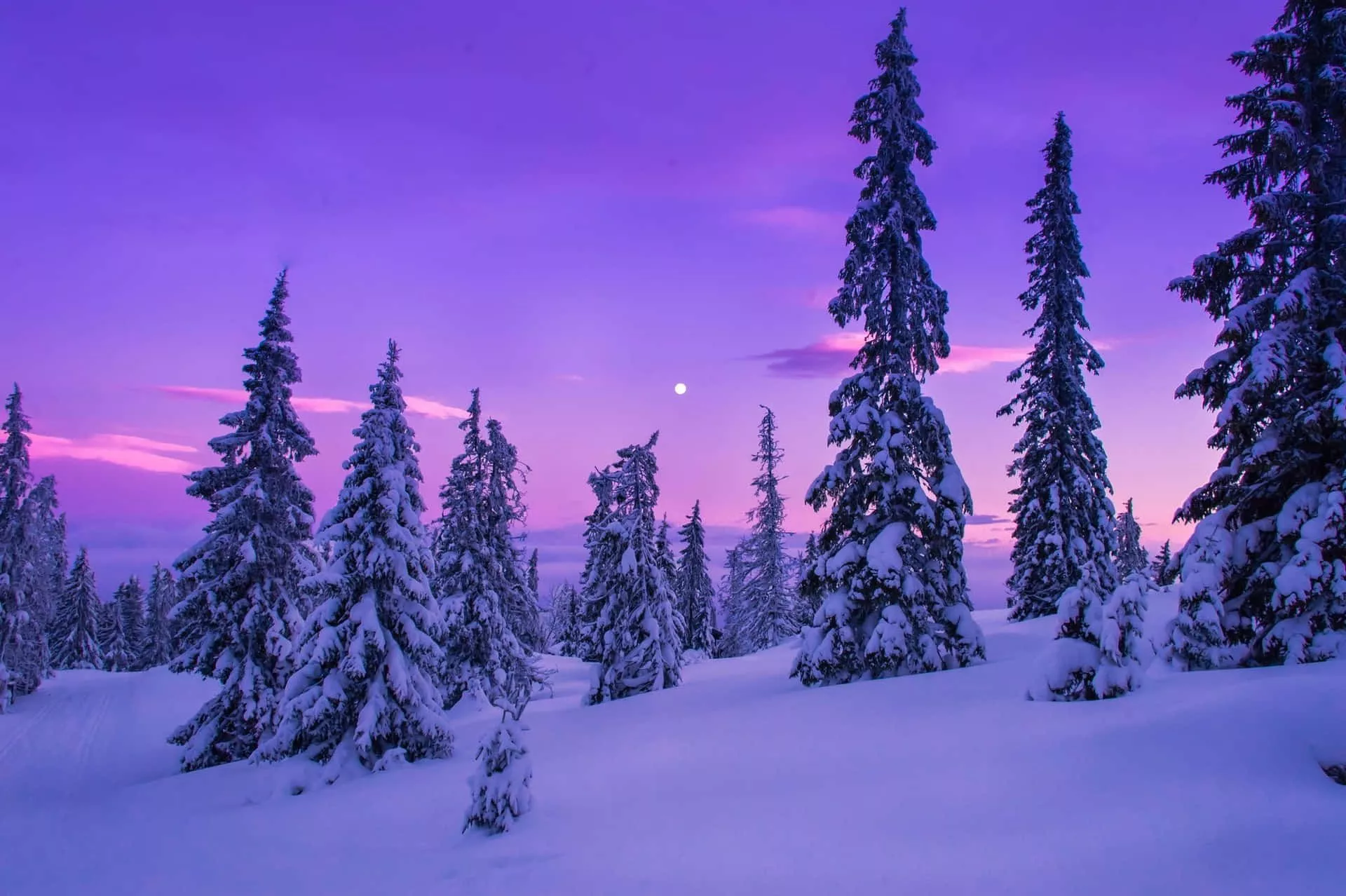 Purple Winter Landscape Wallpapers - Wallpaper Cave