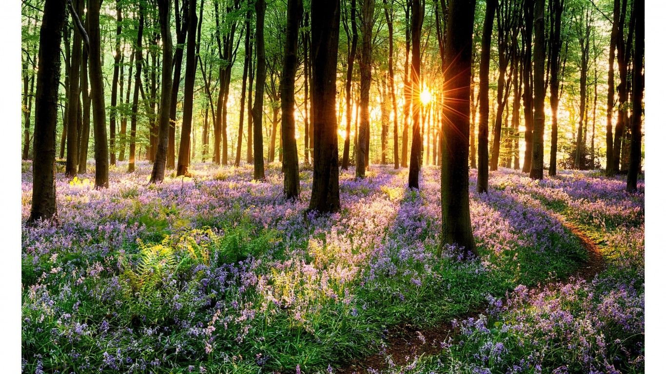 Spring 1366x768 Wallpapers - Wallpaper Cave