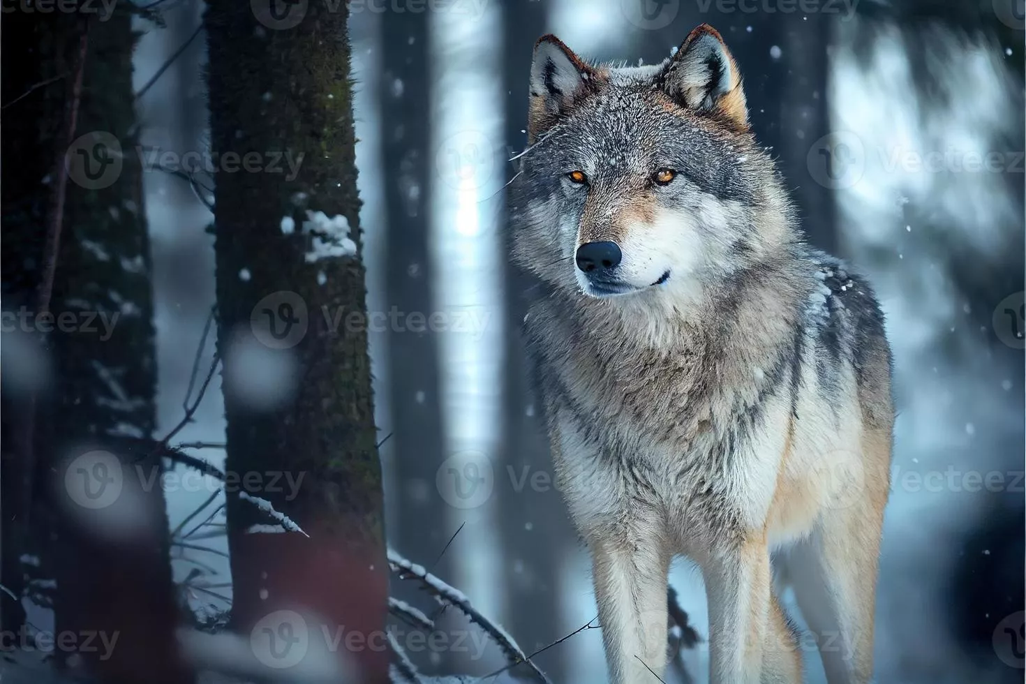Fierce Wolf Wallpapers - Wallpaper Cave