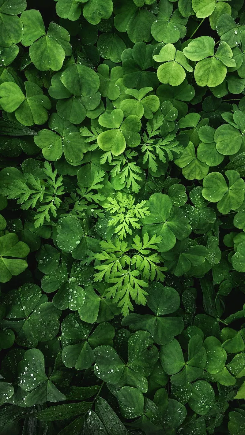 Calming Landscape Phone Wallpapers - Wallpaper Cave