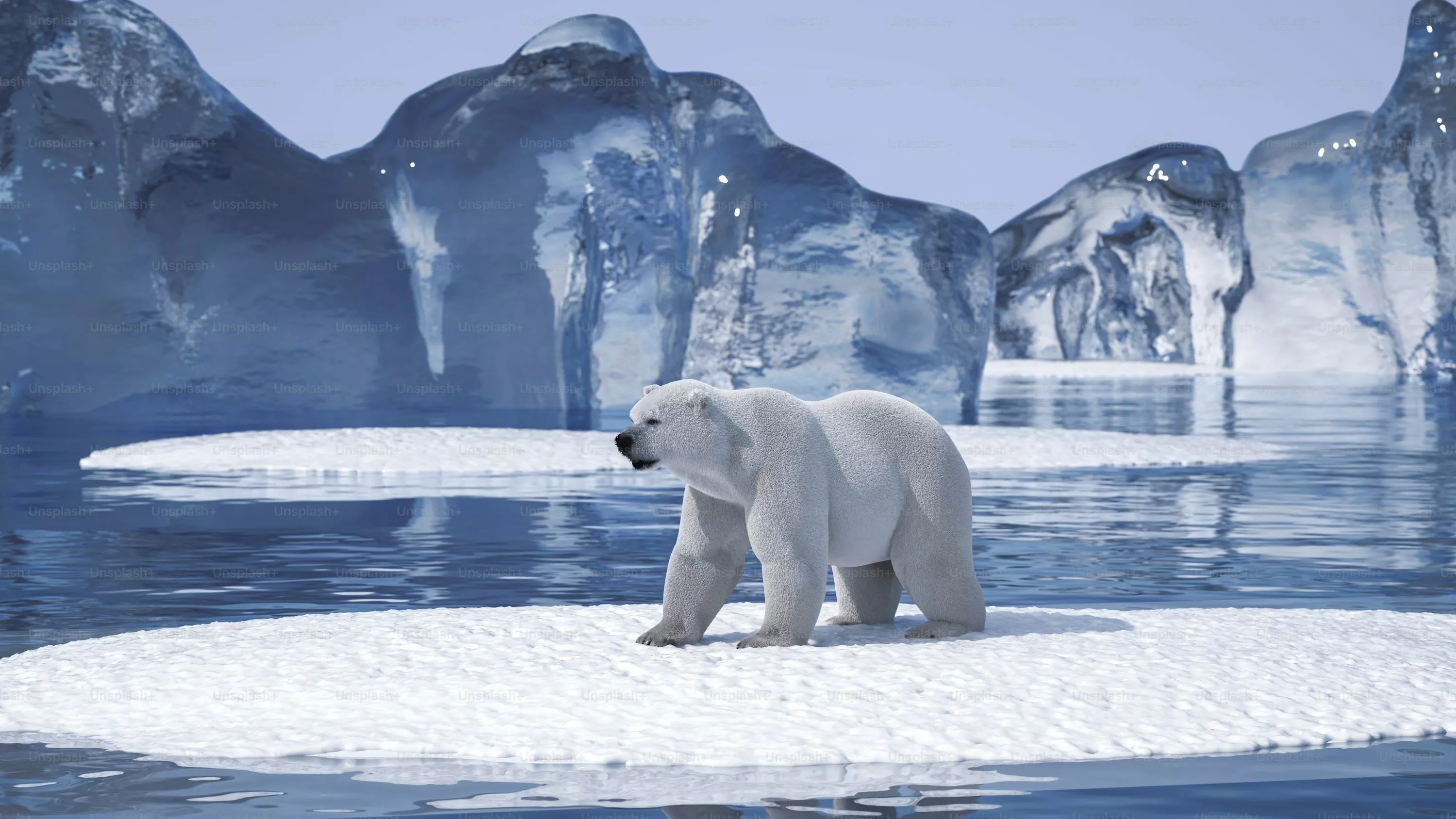 4k Polar Bear Wallpapers - Wallpaper Cave