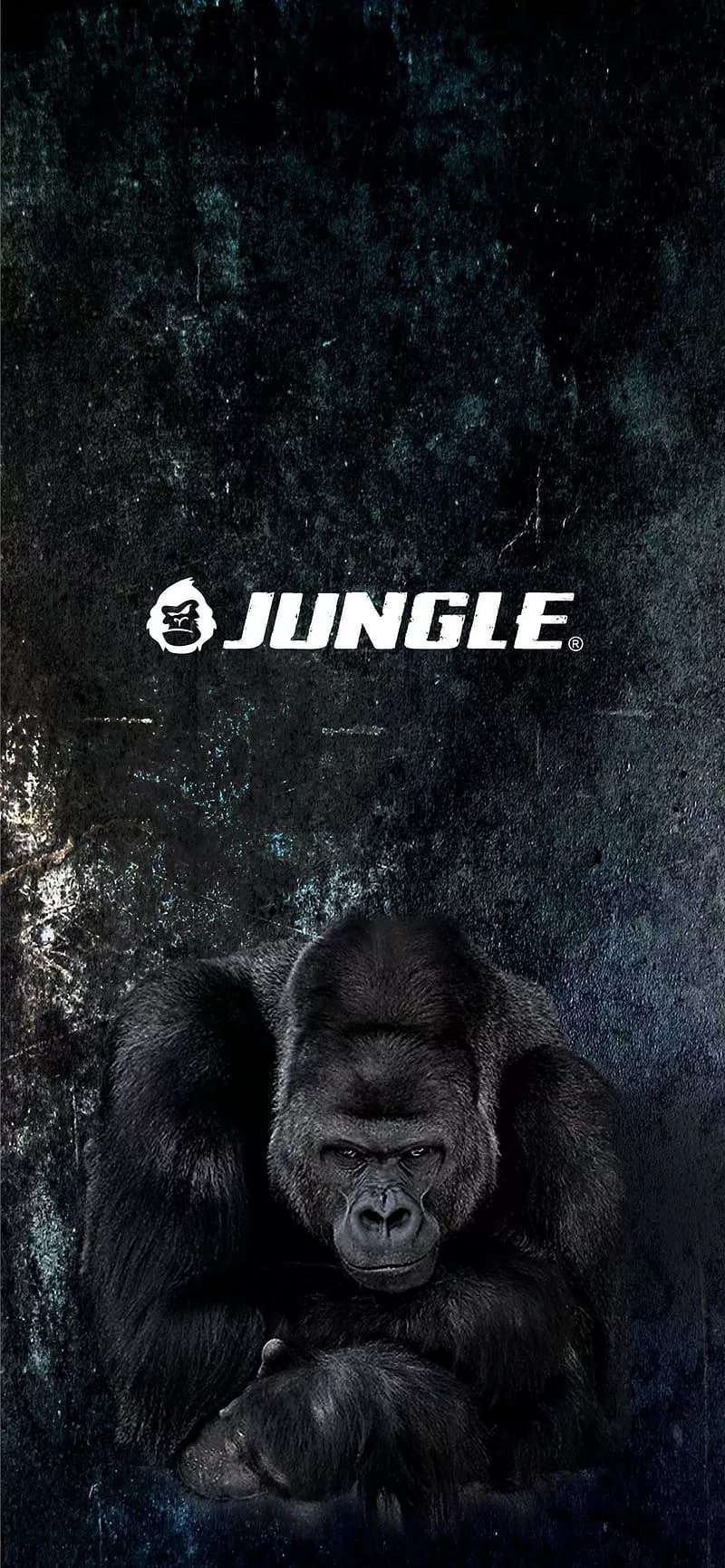 Gorilla Phone Wallpapers - Wallpaper Cave