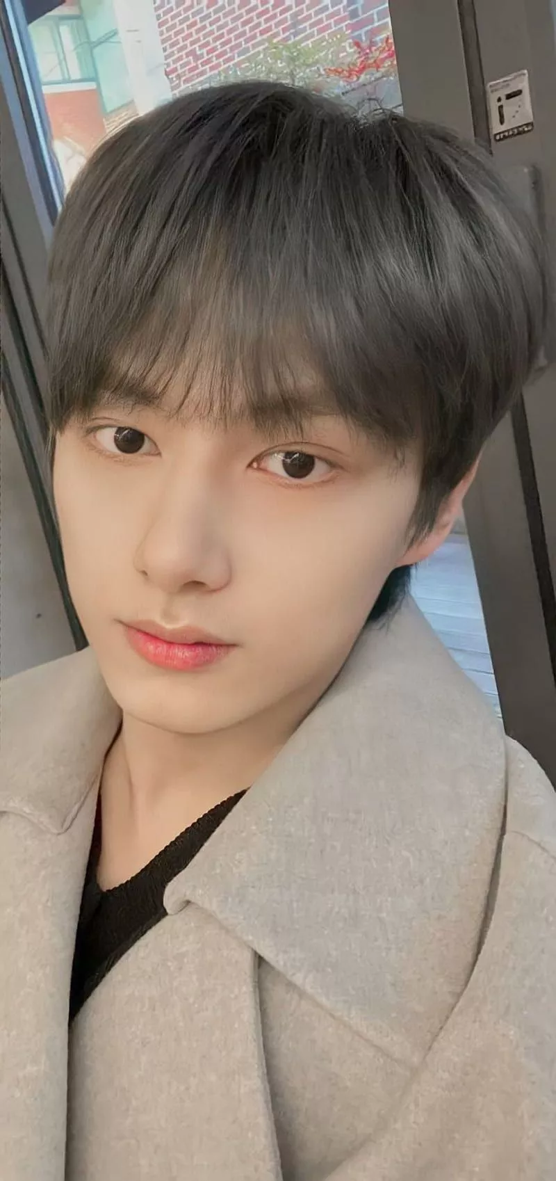 Wen Junhui Wallpapers - Wallpaper Cave