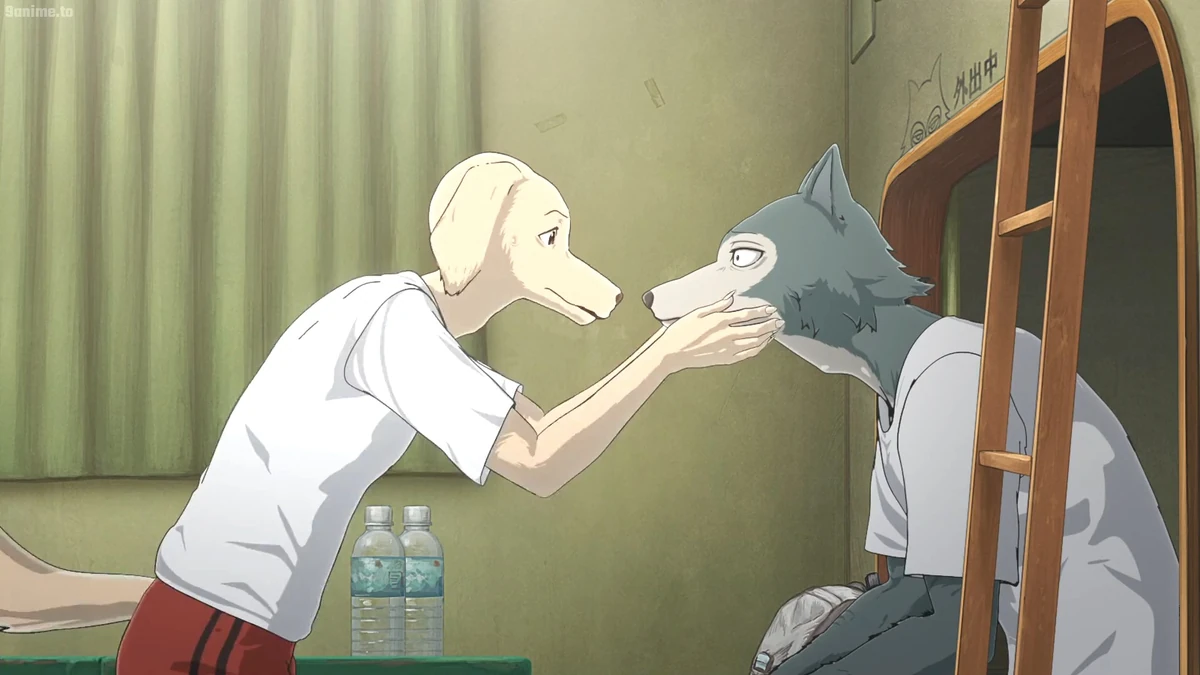 Jack Beastars Wallpapers - Wallpaper Cave