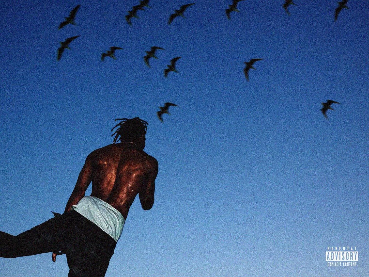 Travis Album Days Before Rodeo Wallpapers - Wallpaper Cave