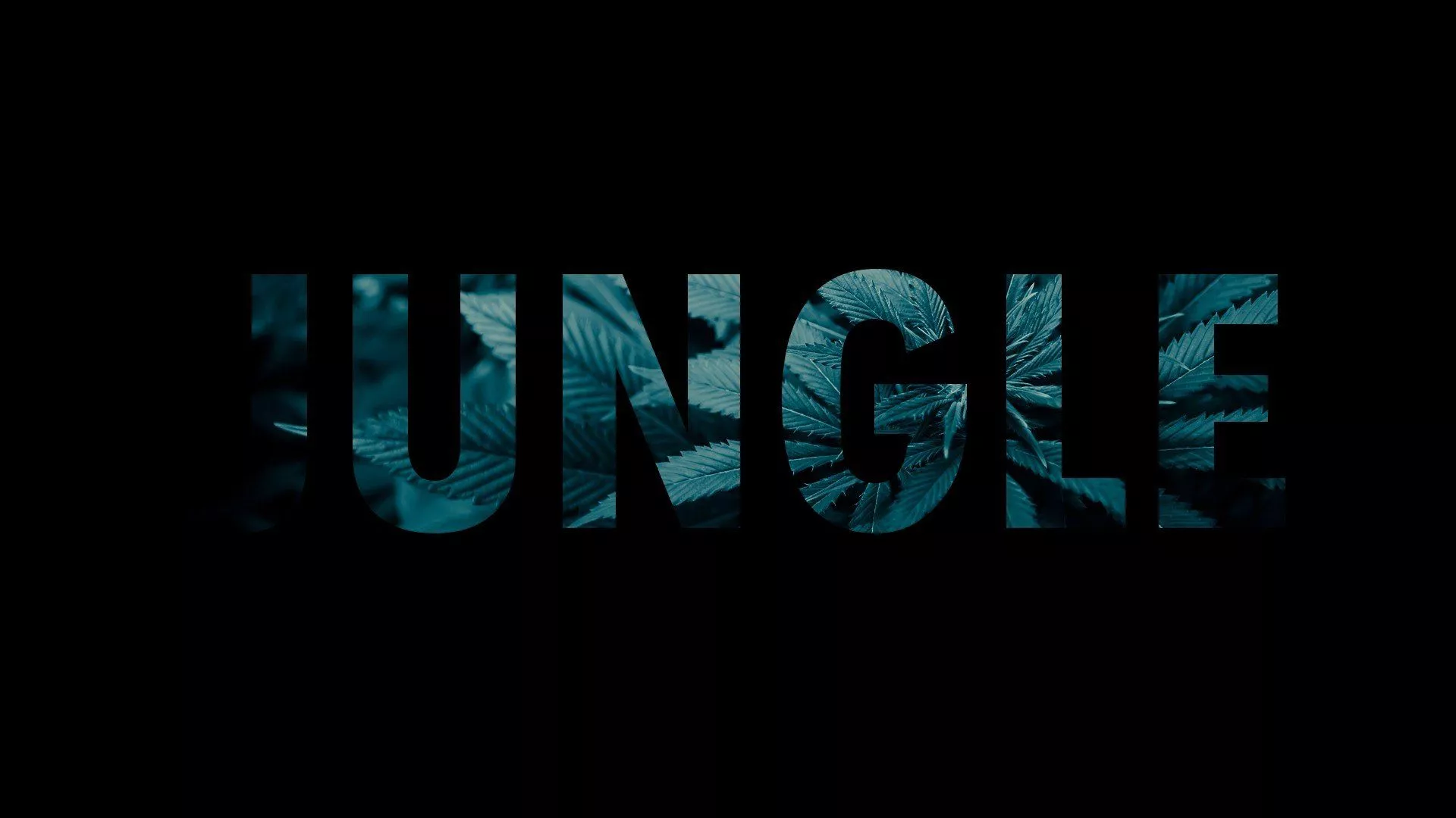 Jungle Music Logo Wallpapers - Wallpaper Cave