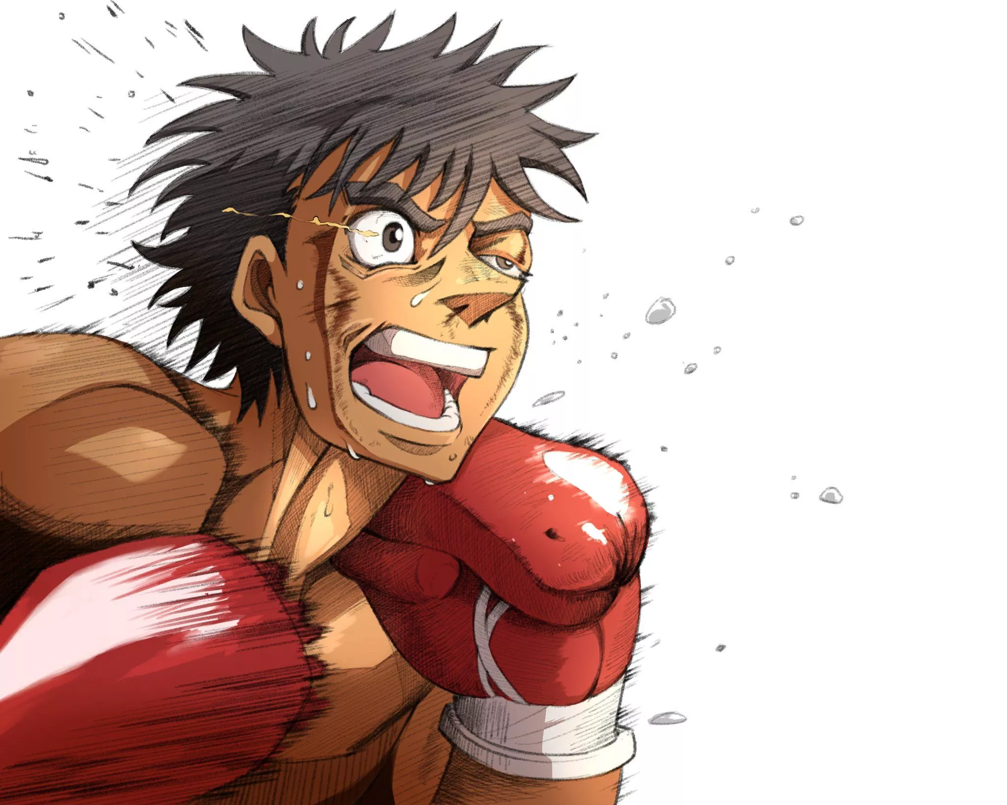 Hajime No Ippo 4k Wallpapers - Wallpaper Cave
