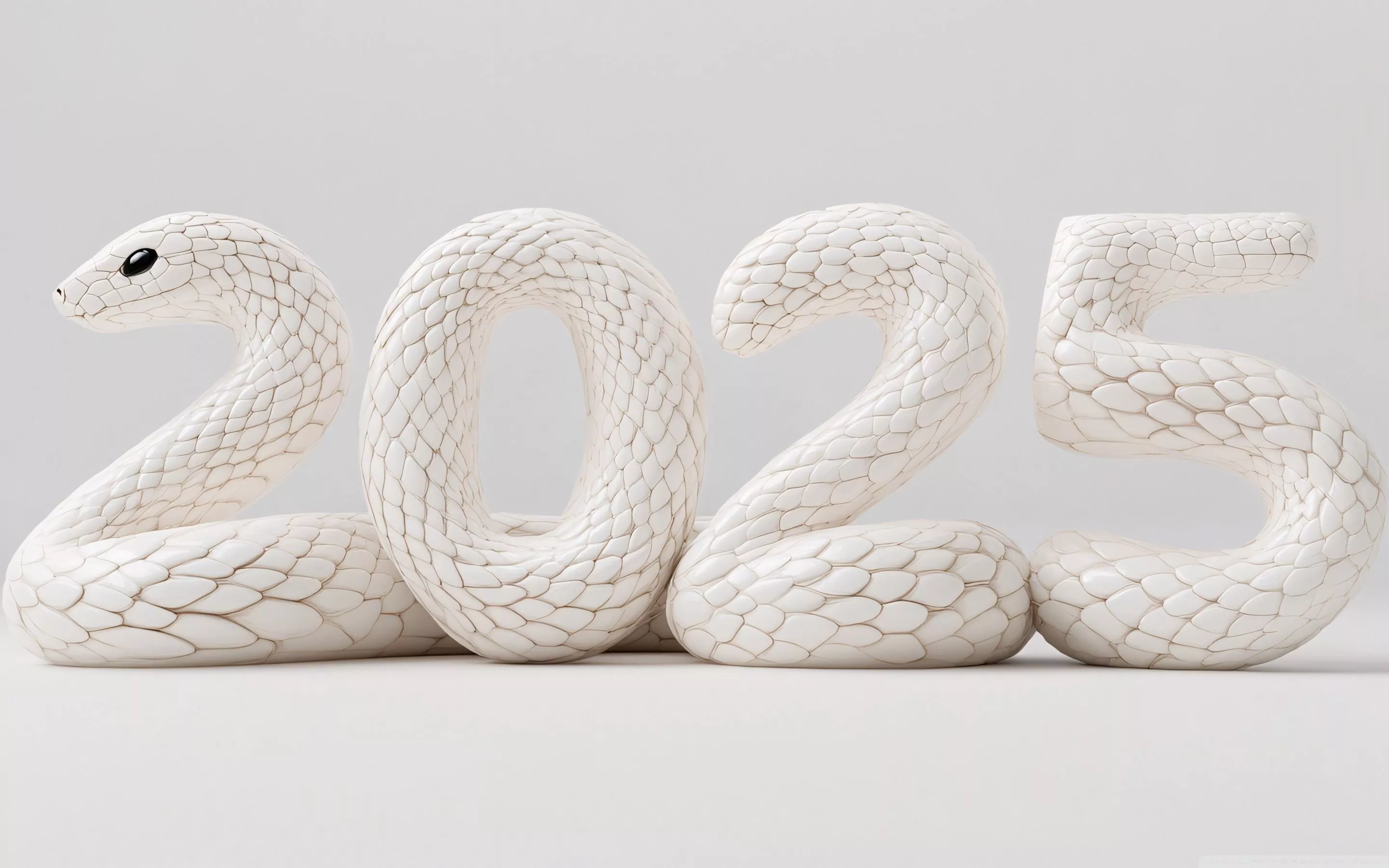 Year Of The Snake Wallpapers - Wallpaper Cave