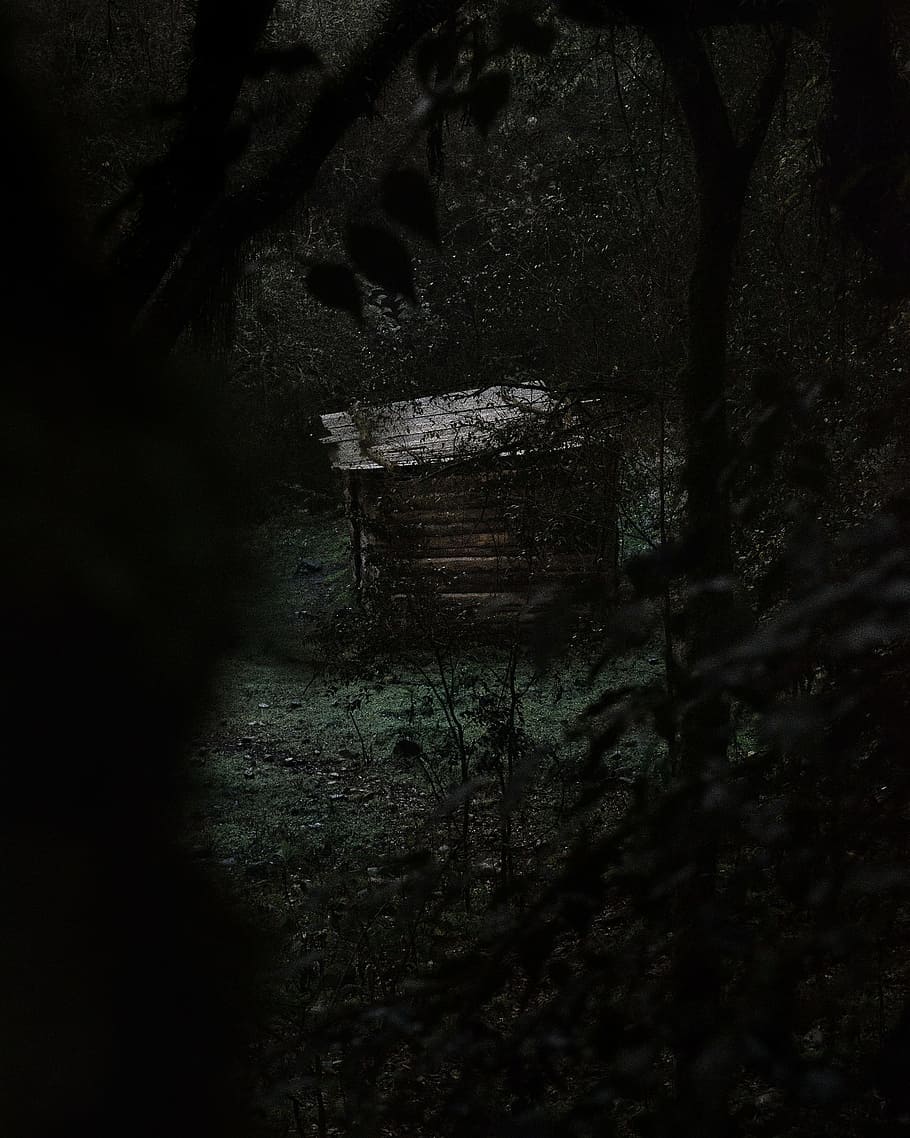 Dark Cabin Wallpapers - Wallpaper Cave