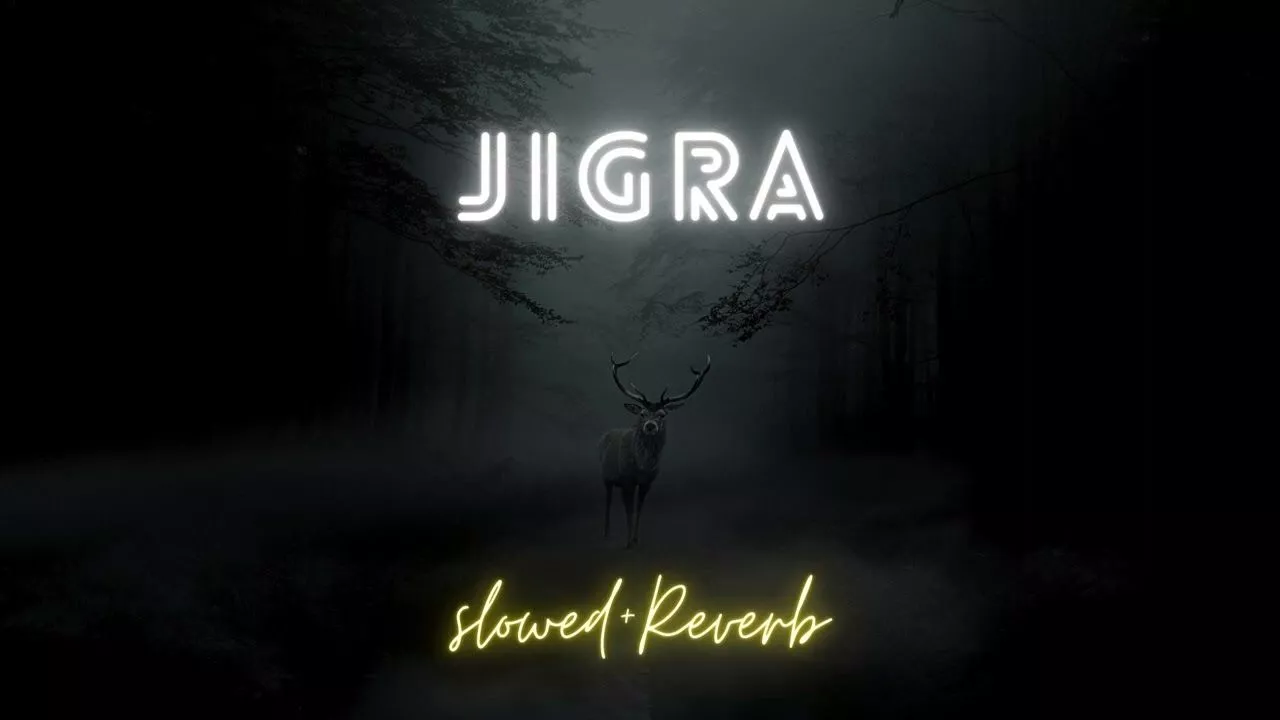 Jigra Wallpapers - Wallpaper Cave