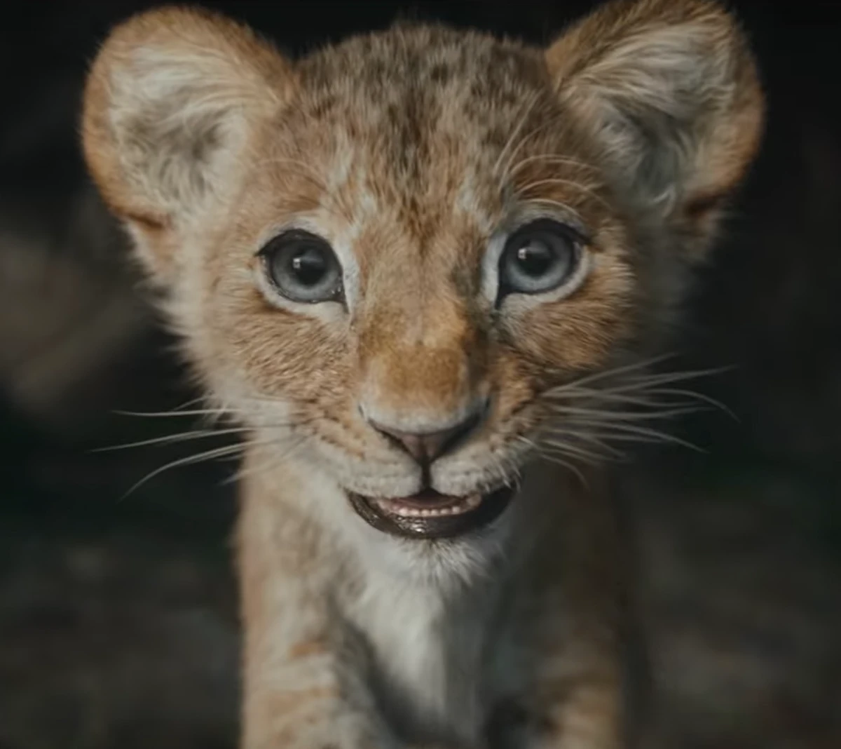 Kiara 2019 Lion King Wallpapers - Wallpaper Cave