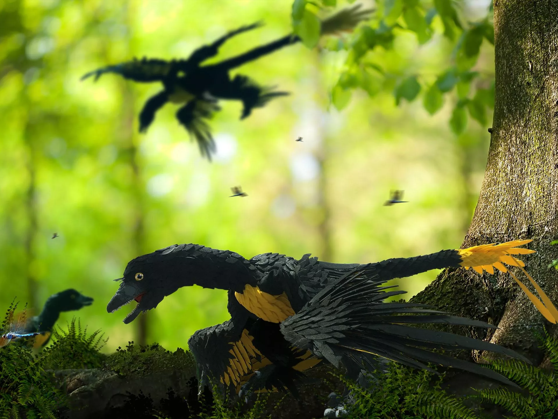 Microraptor Wallpapers - Wallpaper Cave