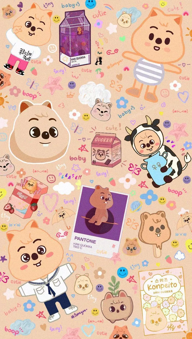 Han Quokka Wallpapers - Wallpaper Cave