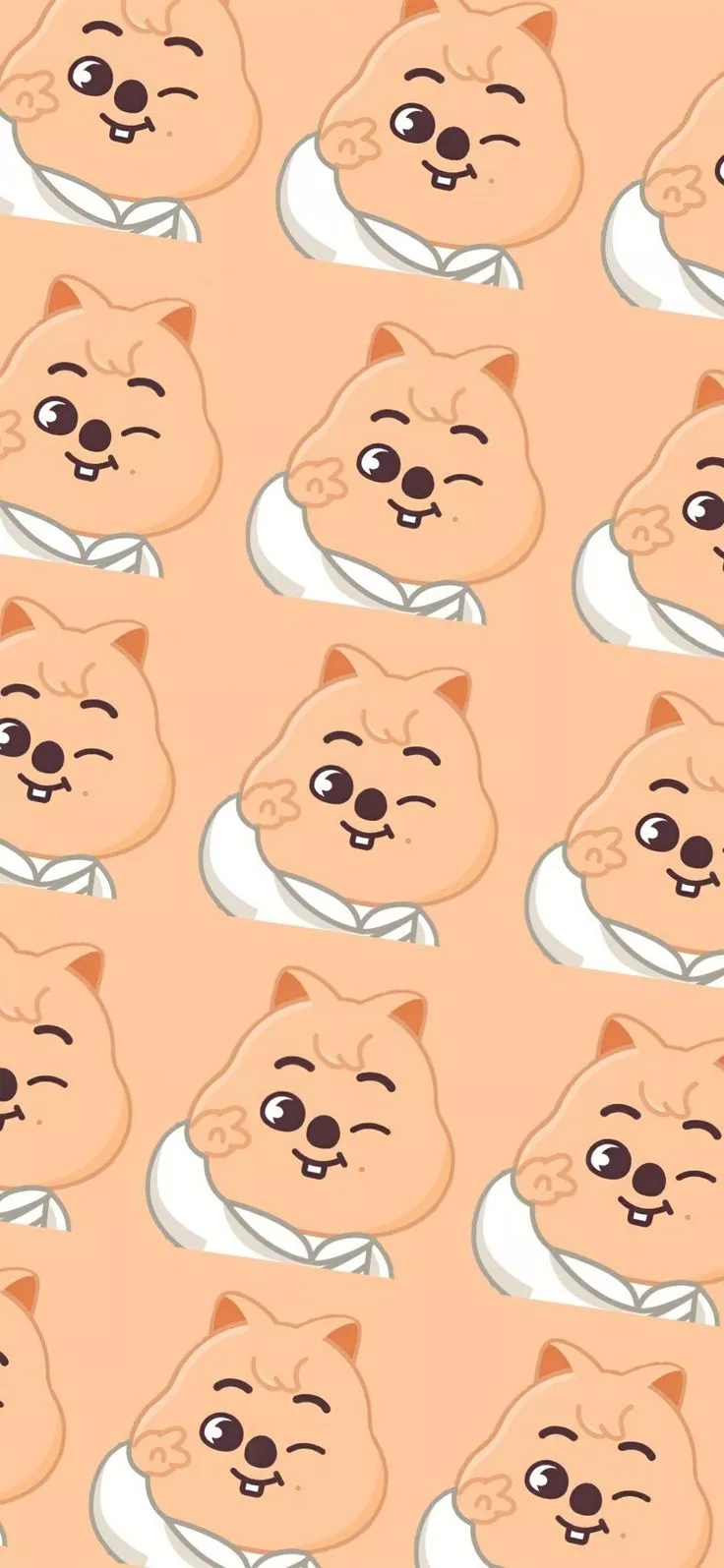 Han Quokka Wallpapers - Wallpaper Cave