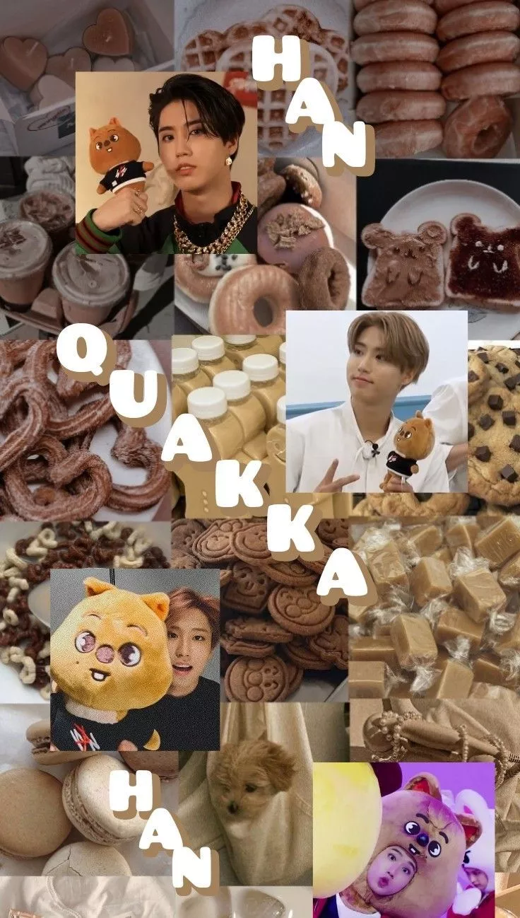 Han Quokka Wallpapers - Wallpaper Cave