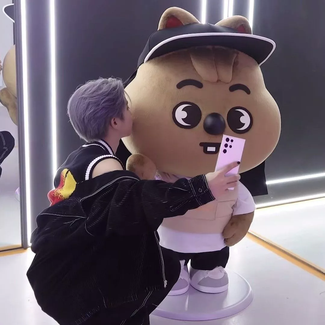 Han Quokka Wallpapers - Wallpaper Cave