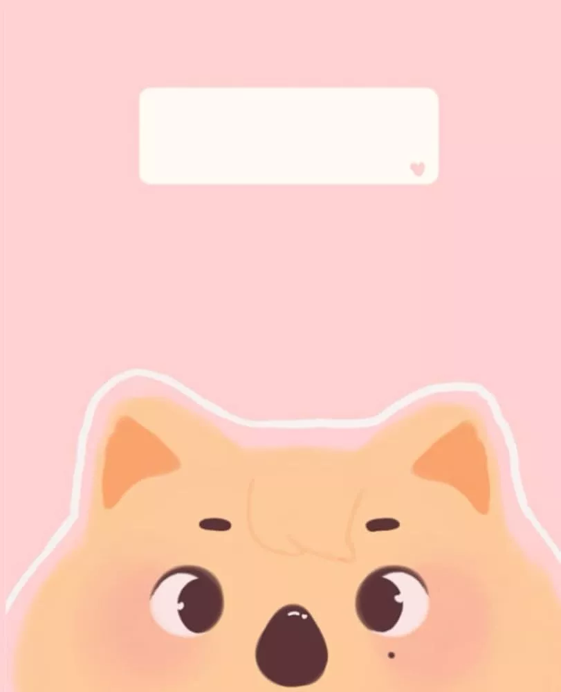 Han Quokka Wallpapers - Wallpaper Cave