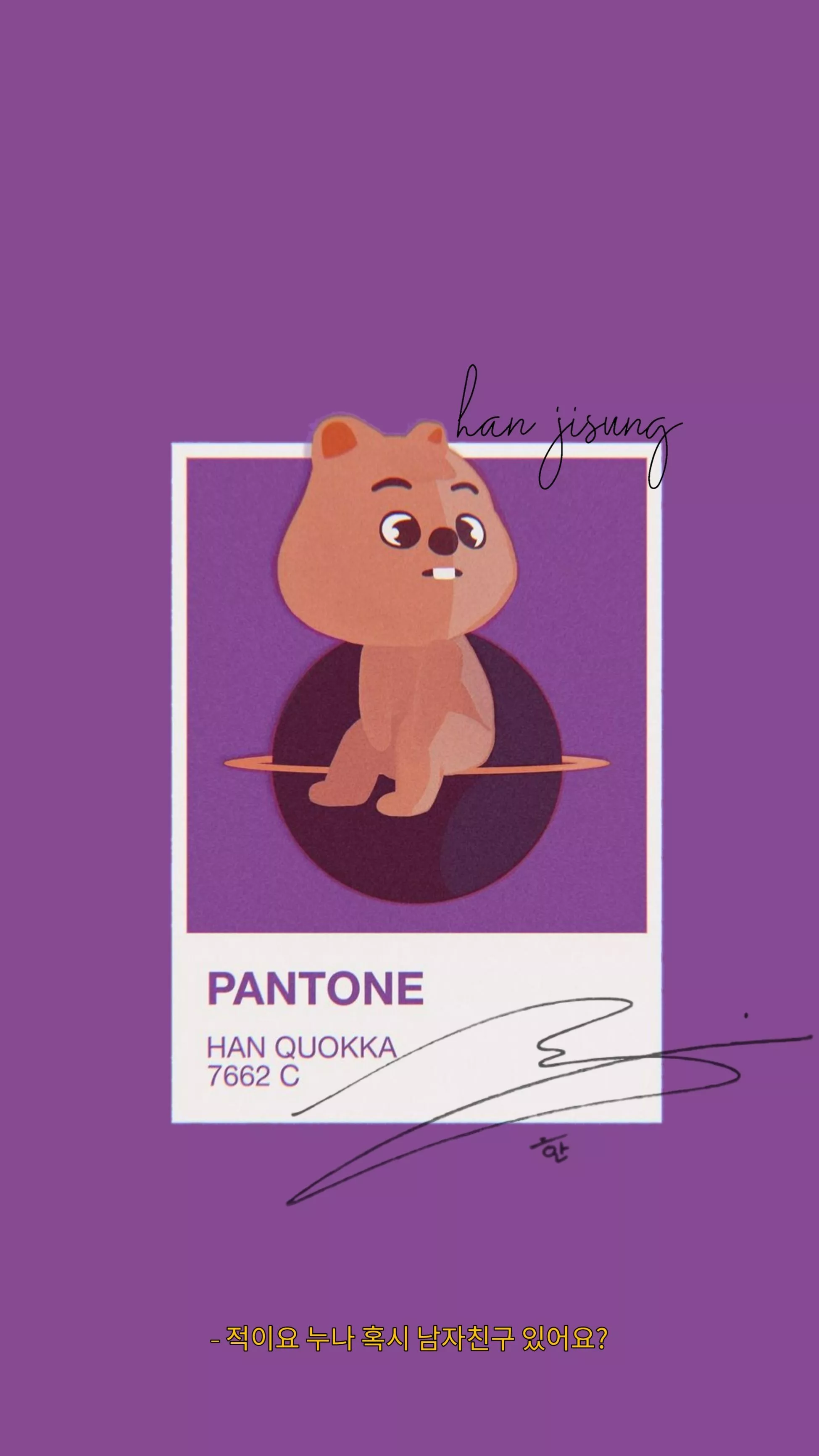 Han Quokka Wallpapers - Wallpaper Cave