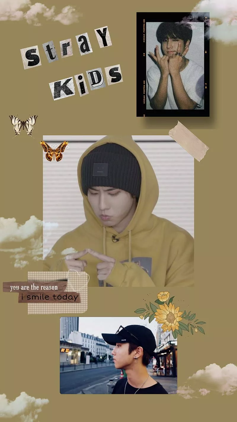 Han Quokka Wallpapers - Wallpaper Cave