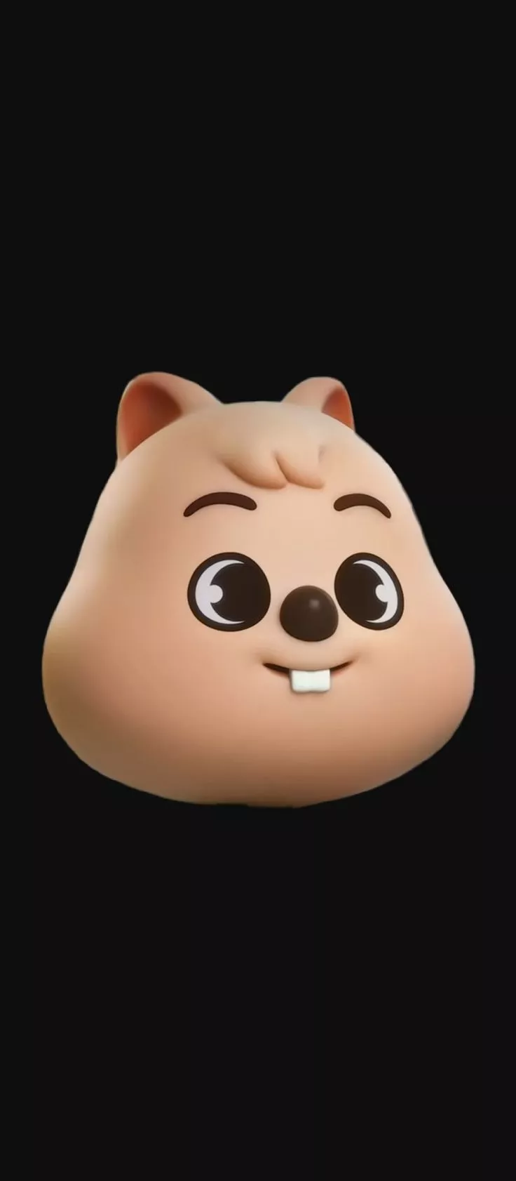 Han Quokka Wallpapers - Wallpaper Cave