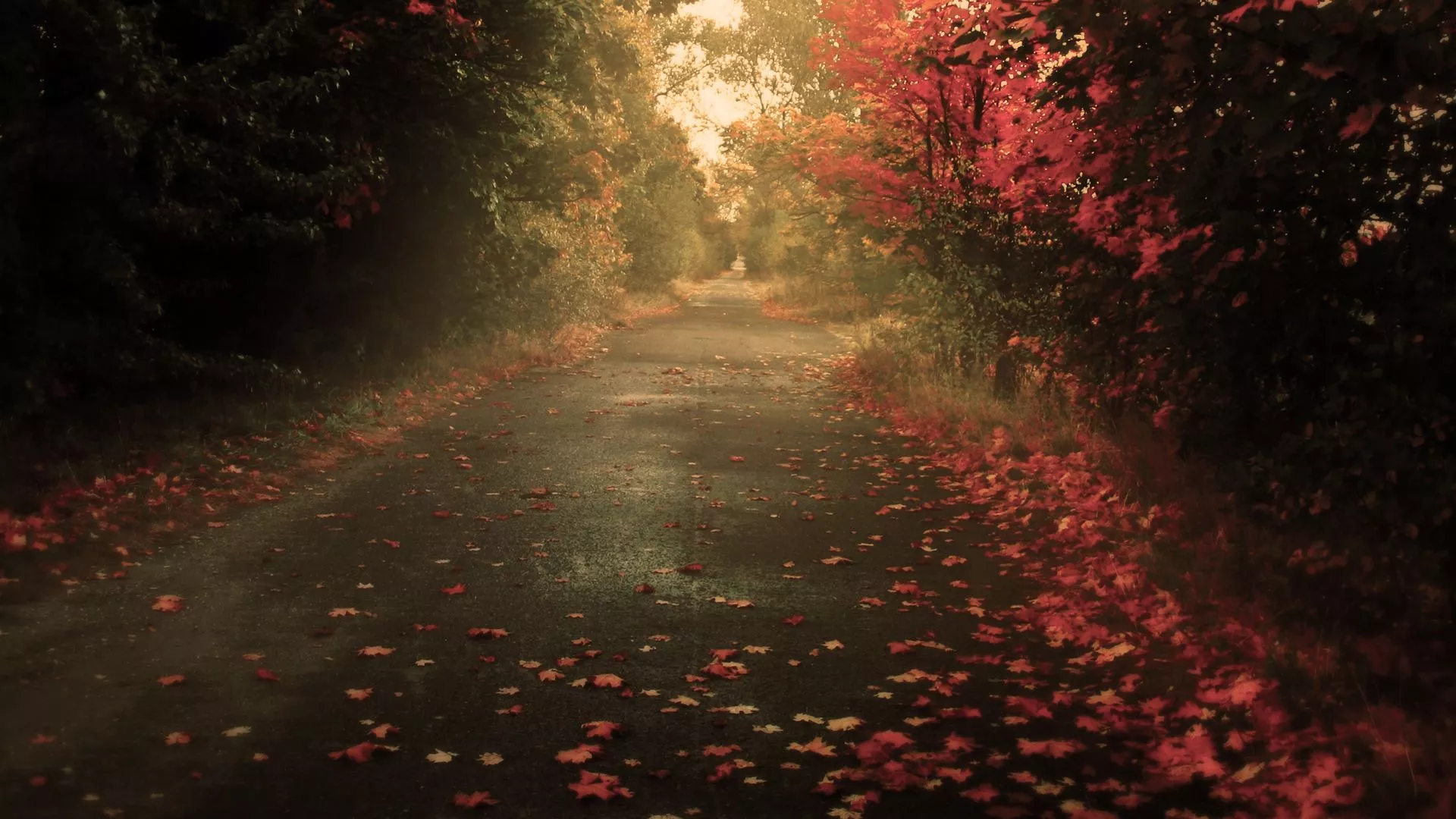 Nature God Wallpapers - Wallpaper Cave