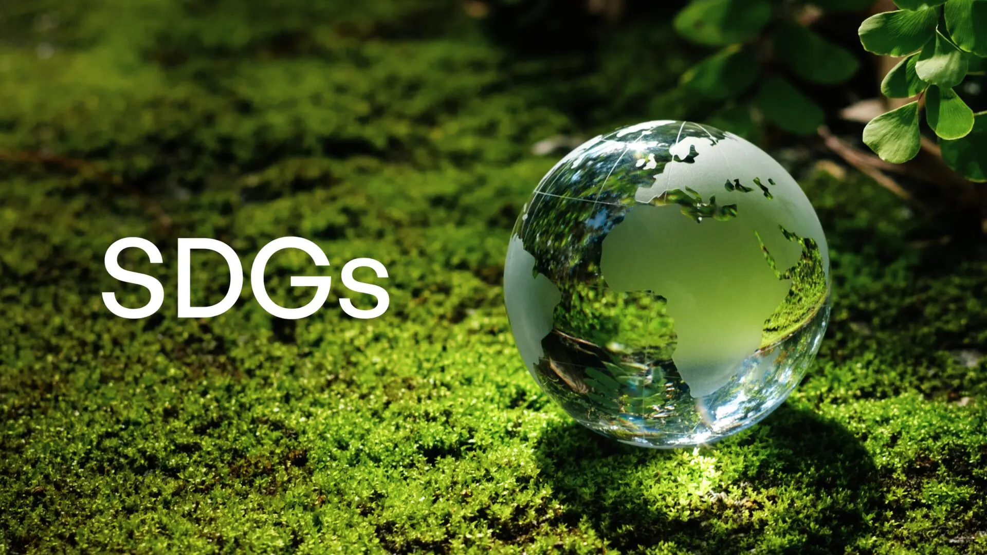 Sustainable Development Goals Wallpapers - Wallpaper Cave