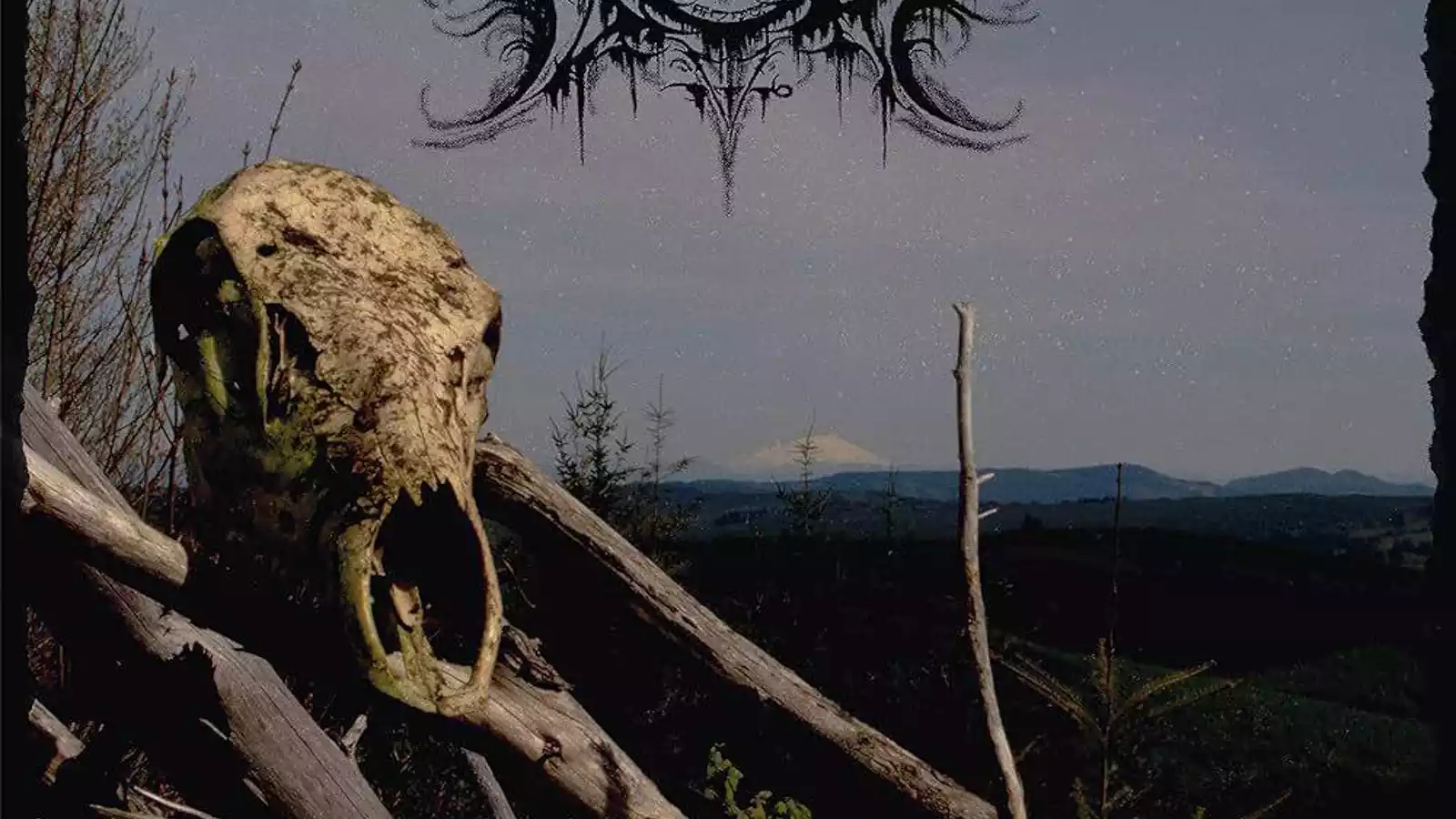 Xasthur Wallpapers - Wallpaper Cave