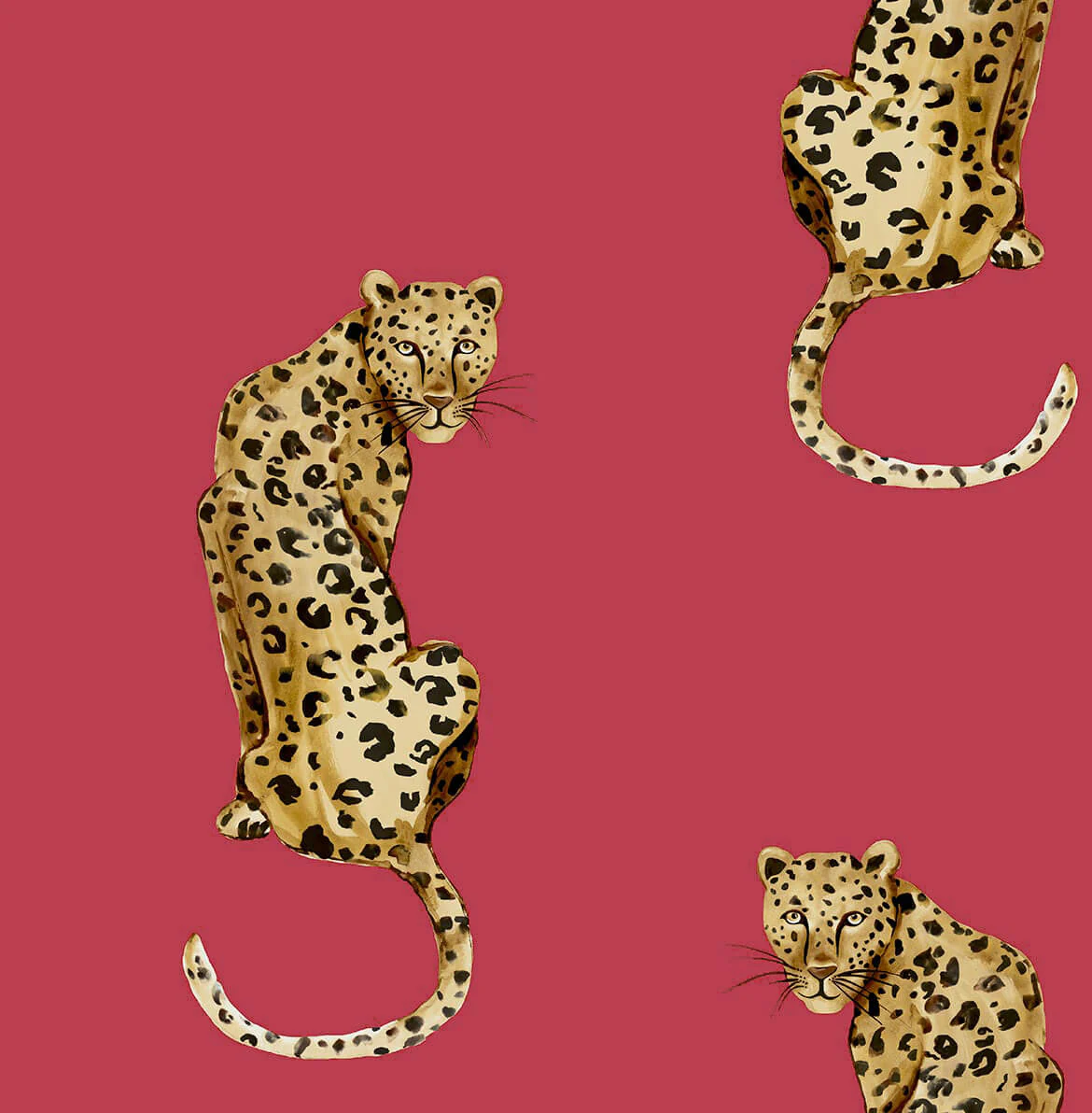 Preppy Cheetah Print Wallpapers - Wallpaper Cave