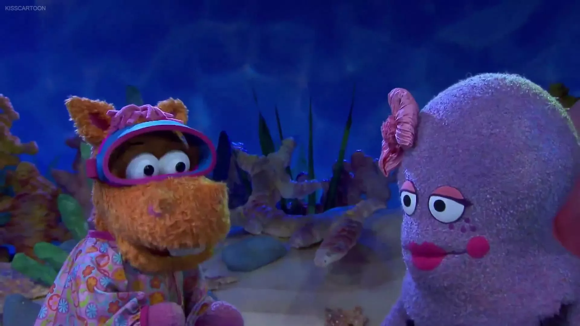 Pajanimals HD Wallpapers - Wallpaper Cave