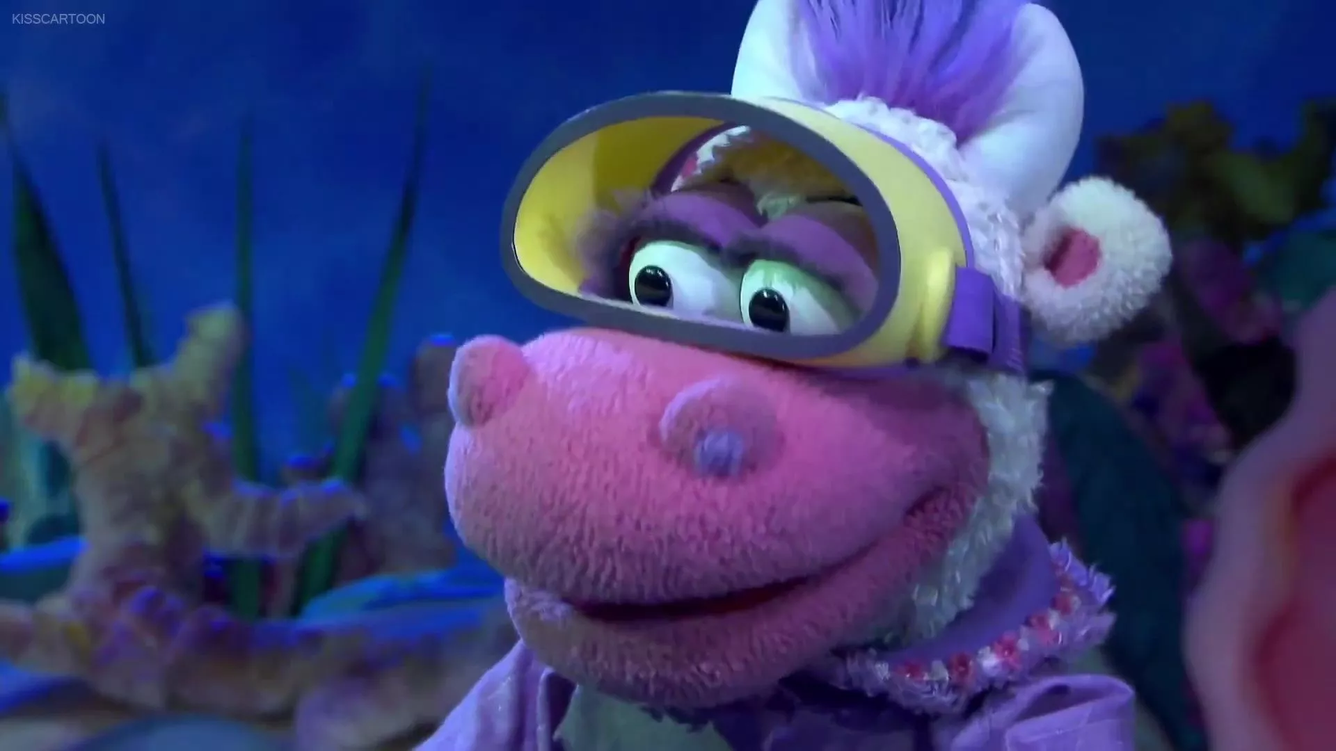 Pajanimals HD Wallpapers - Wallpaper Cave