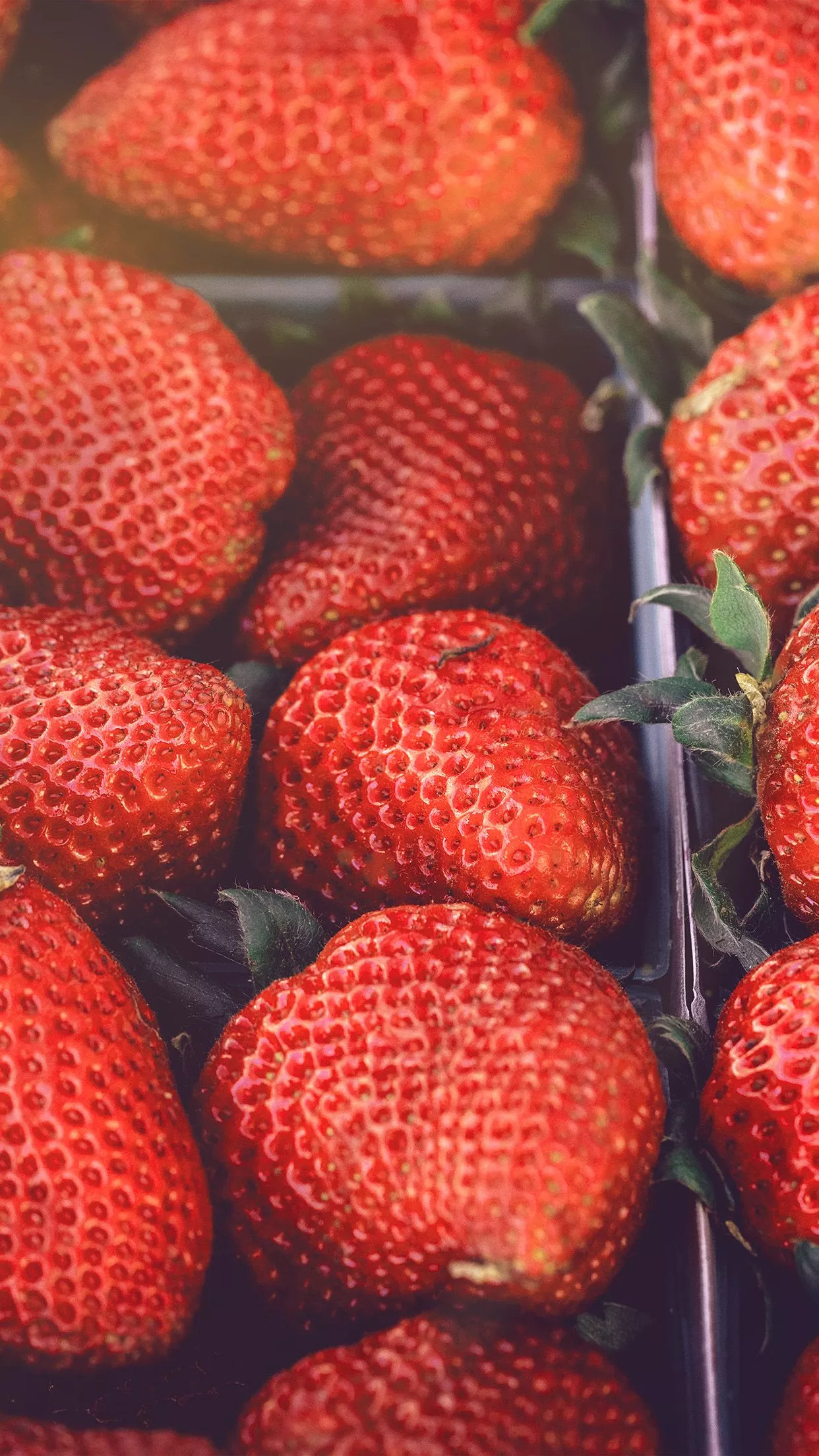 Strawberry iPhone Wallpapers - Wallpaper Cave