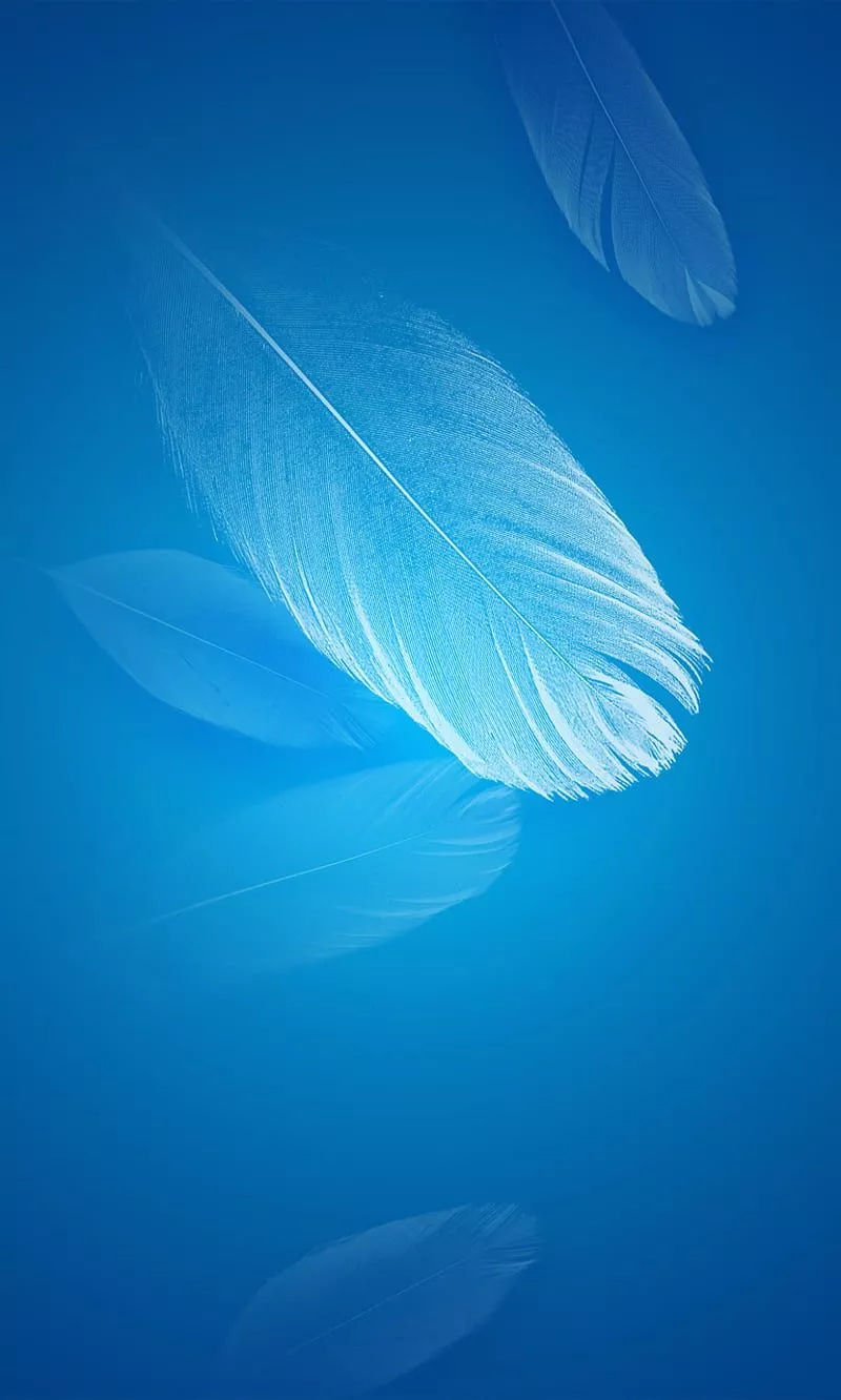 Feather Phone Wallpapers - Wallpaper Cave