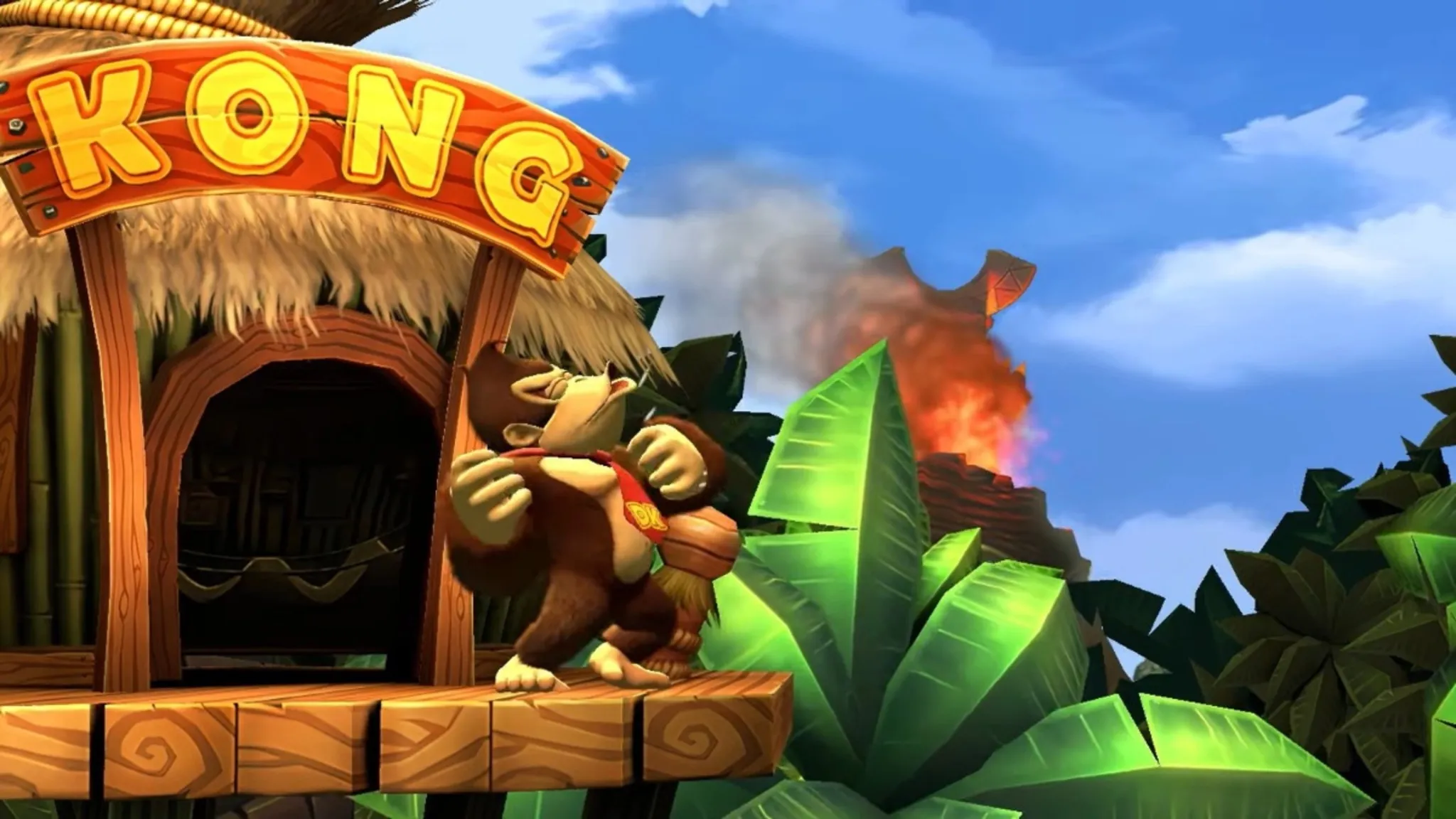 Donkey Kong Country Returns HD Wallpapers - Wallpaper Cave
