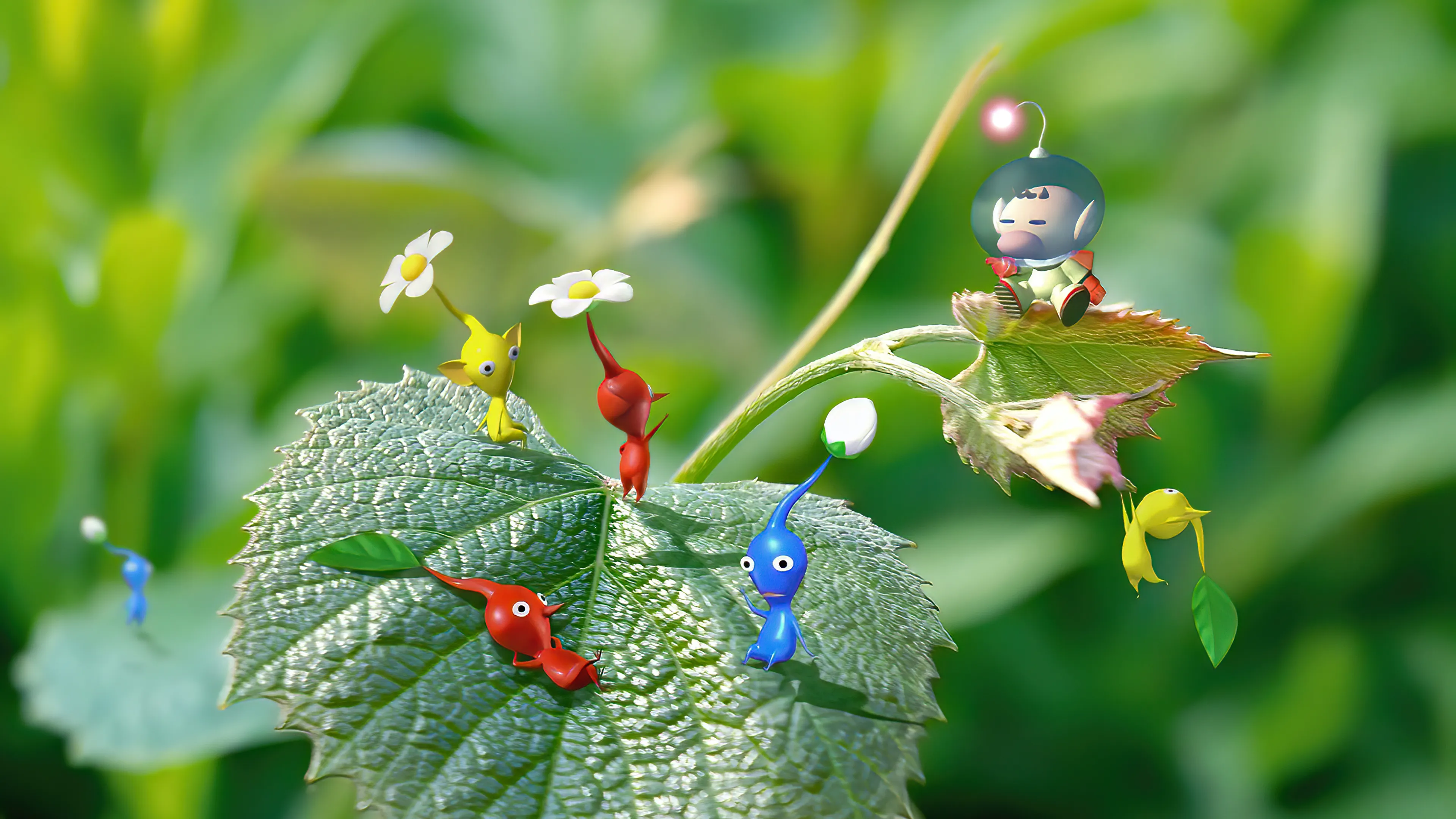 Pikmin 4k Wallpapers - Wallpaper Cave