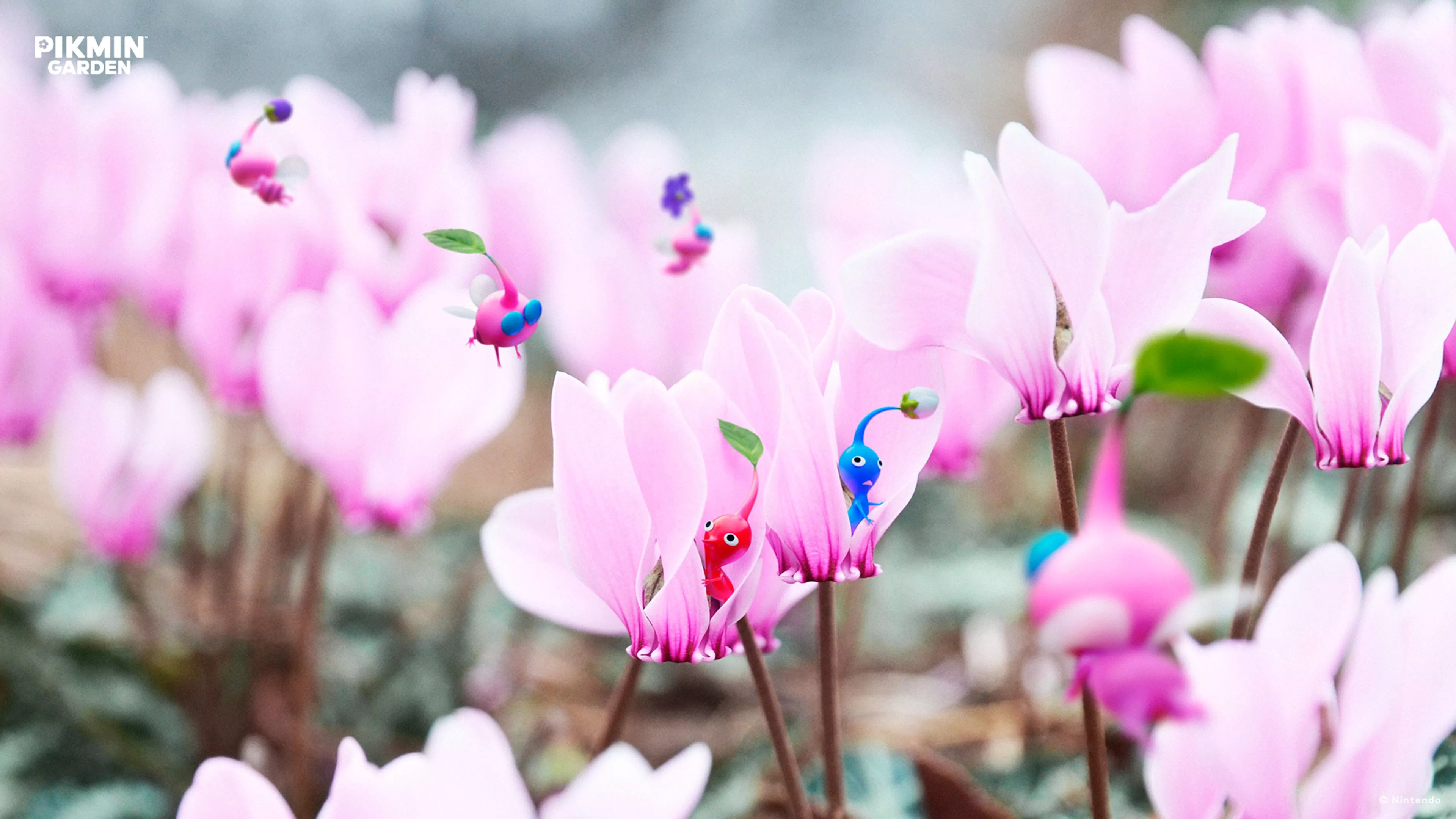 Pikmin 4k Wallpapers - Wallpaper Cave