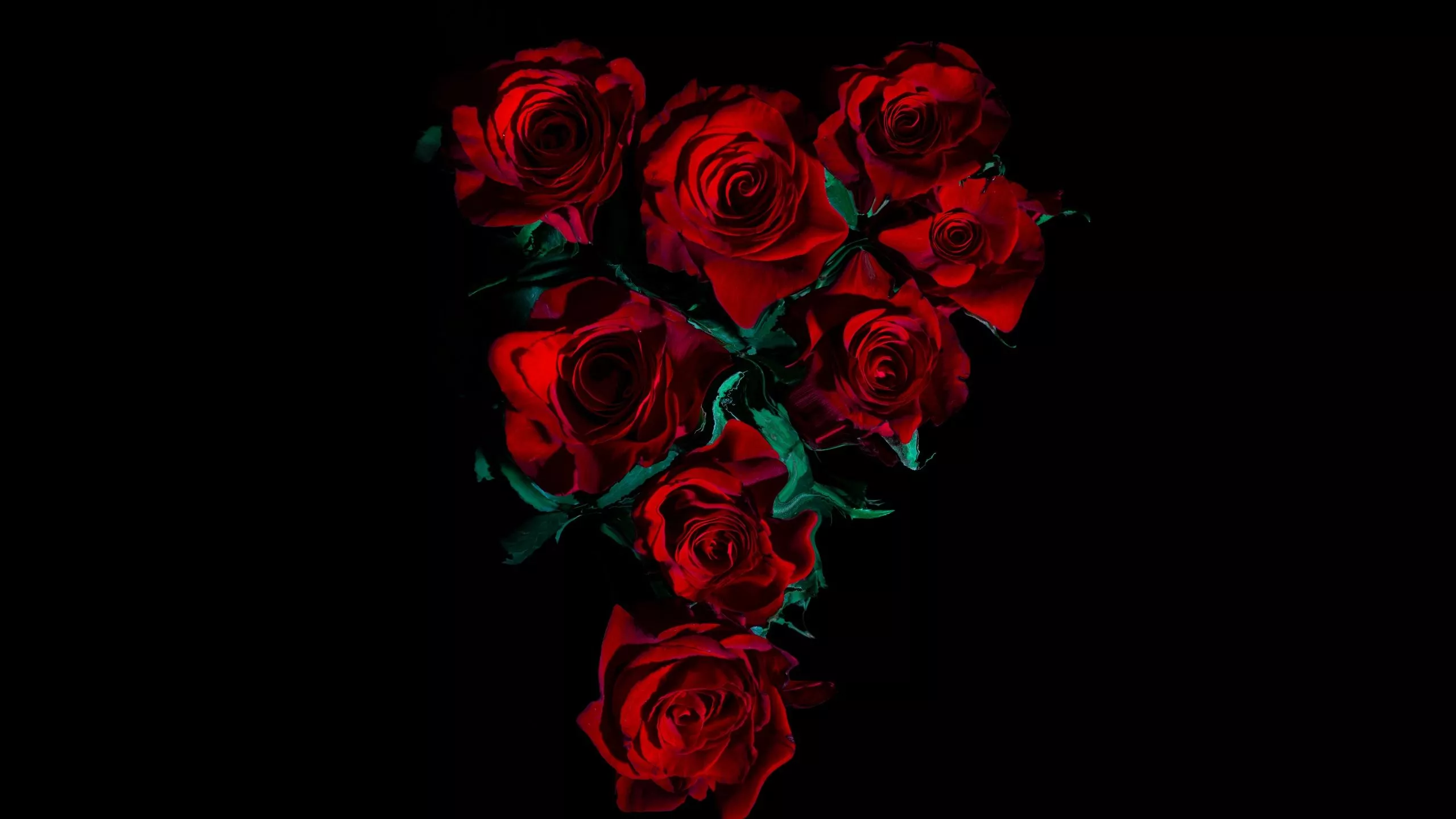 2560x1440 Rose Wallpapers - Wallpaper Cave