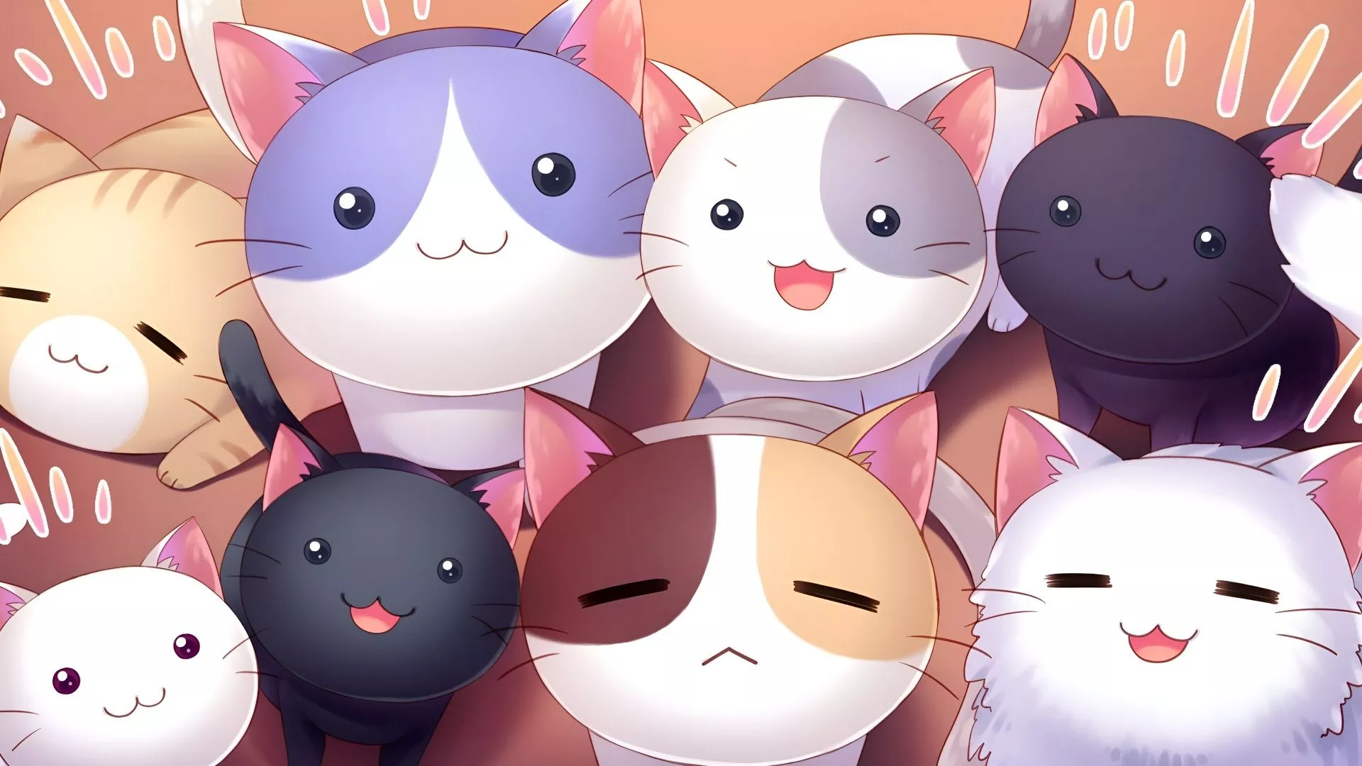 Cute Cat Laptop Wallpapers - Wallpaper Cave