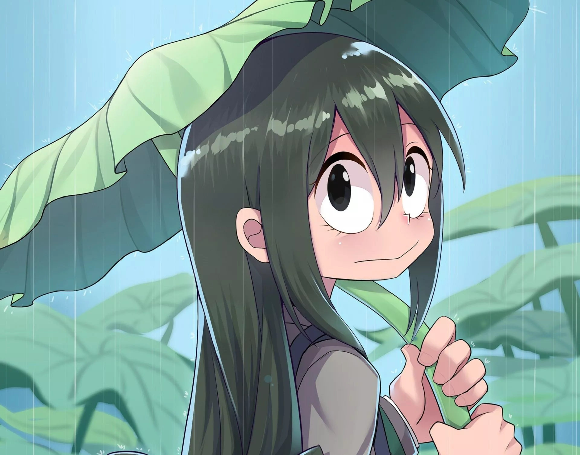 Asui MHA Wallpapers - Wallpaper Cave