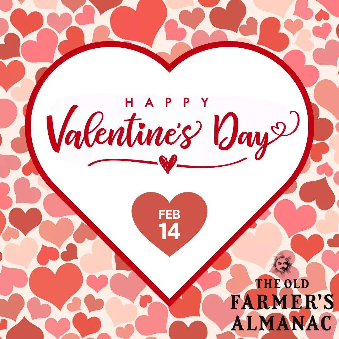 Happy Valentine's Day 2025 Wallpapers - Wallpaper Cave