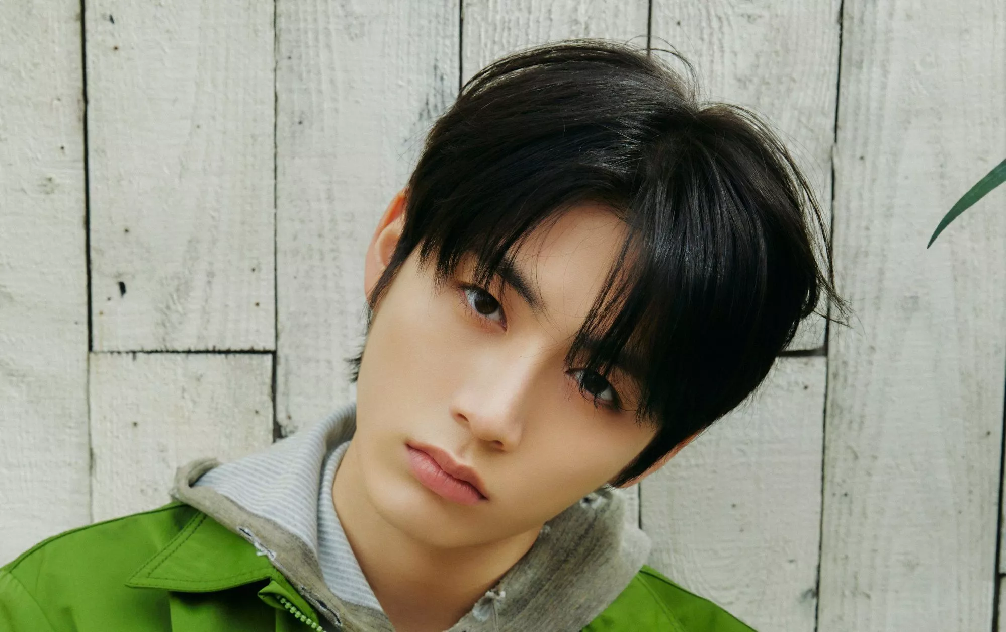 Taesan Wallpapers - Wallpaper Cave