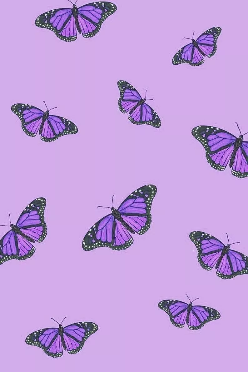 Preppy Lavender Wallpapers - Wallpaper Cave