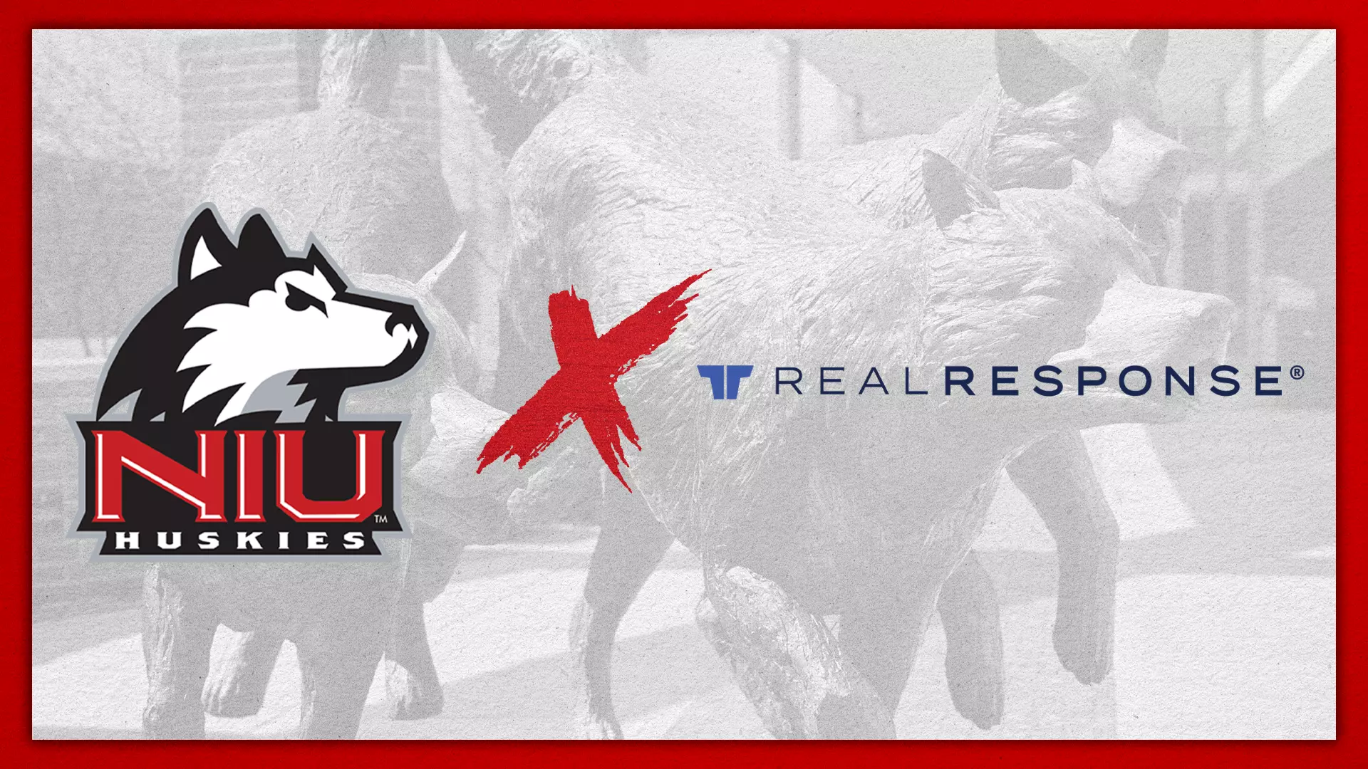 Northern Illinois Huskies Wallpapers - Wallpaper Cave