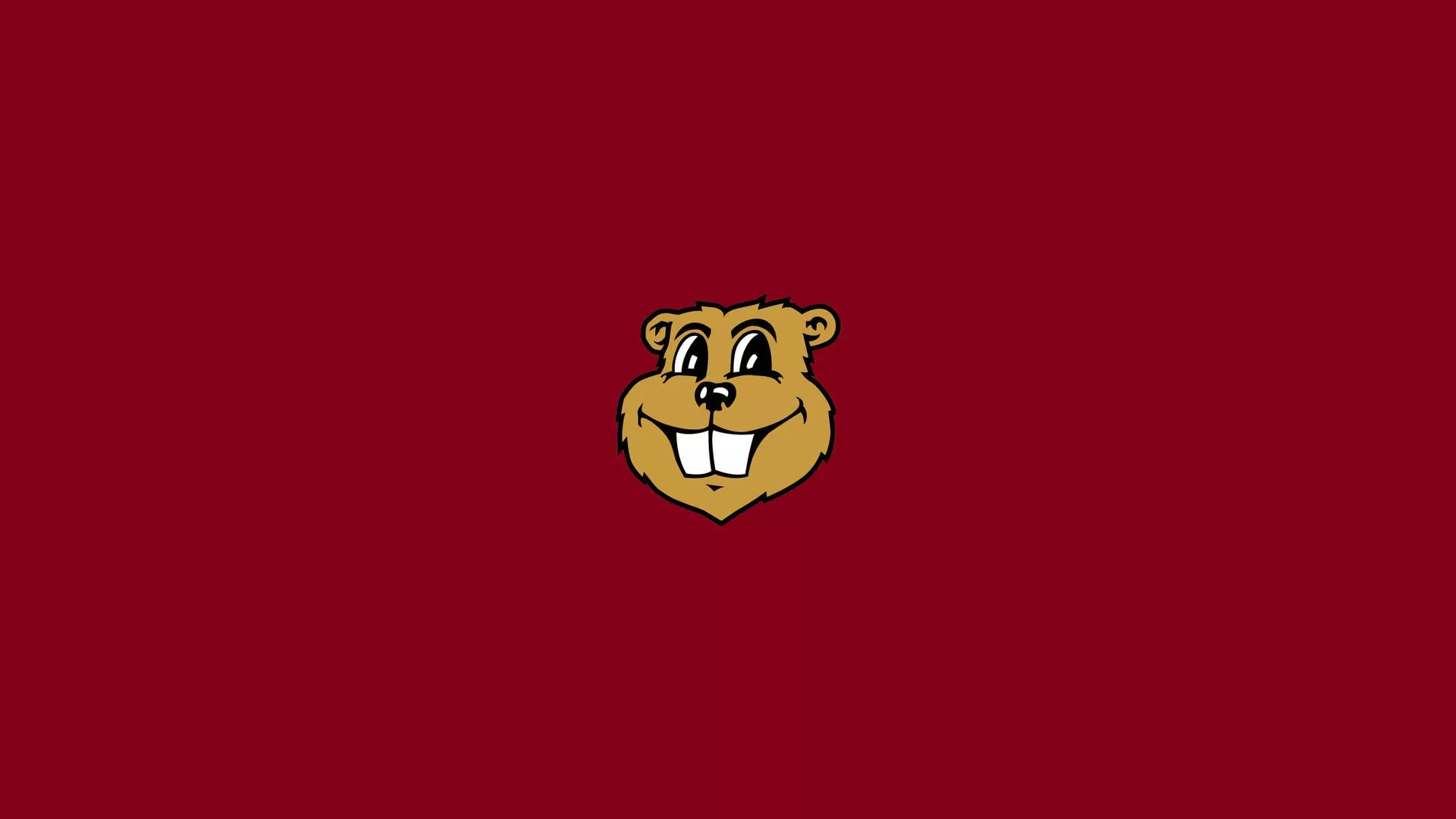 Minnesota Golden Gophers Logo Wallpapers - Wallpaper Cave