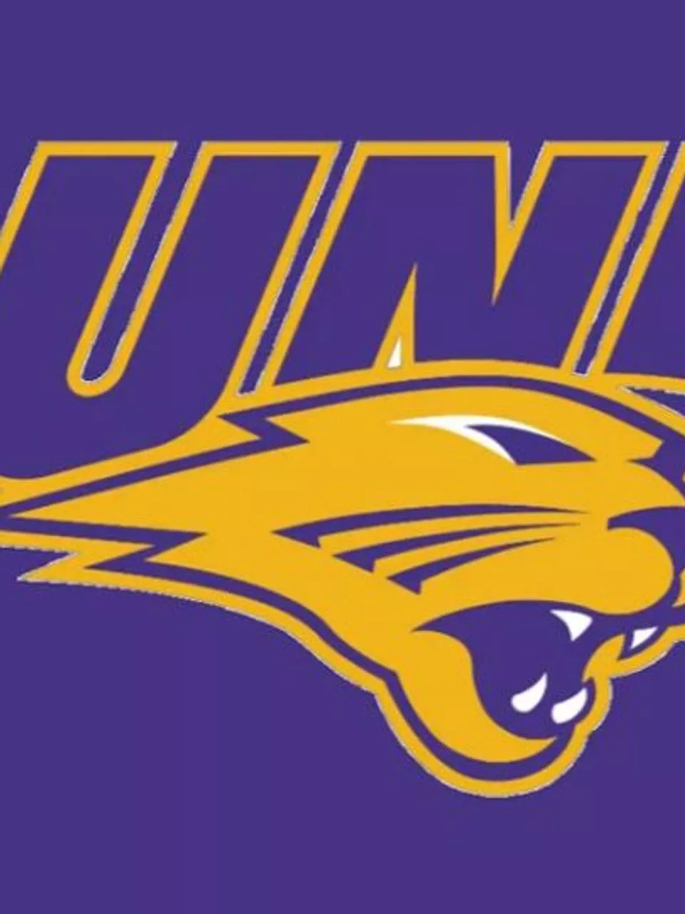 Northern Iowa Panthers Logo Wallpapers - Wallpaper Cave